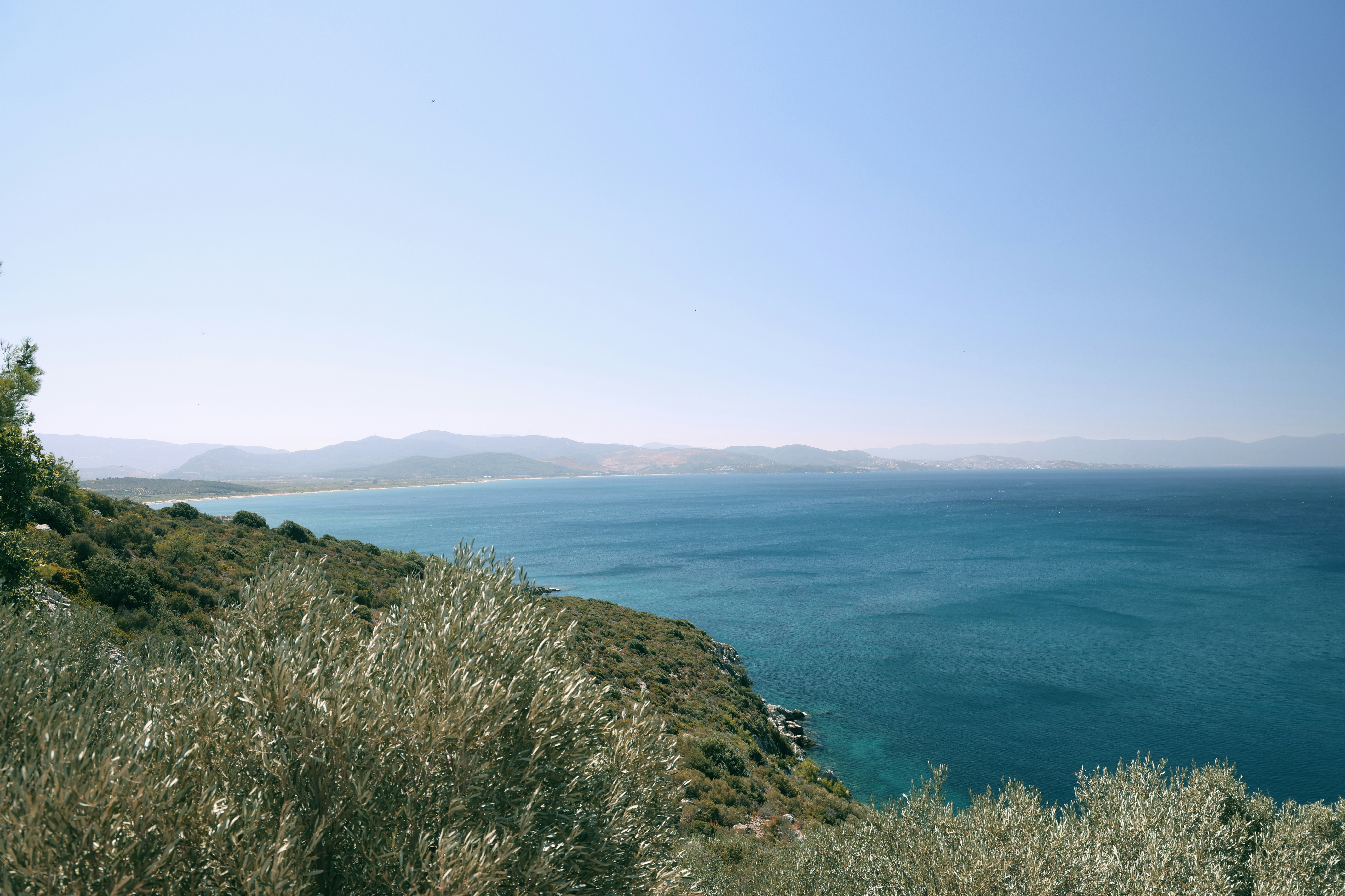 Overlooking Aegean Edge: Coastal scrub and blue expanse