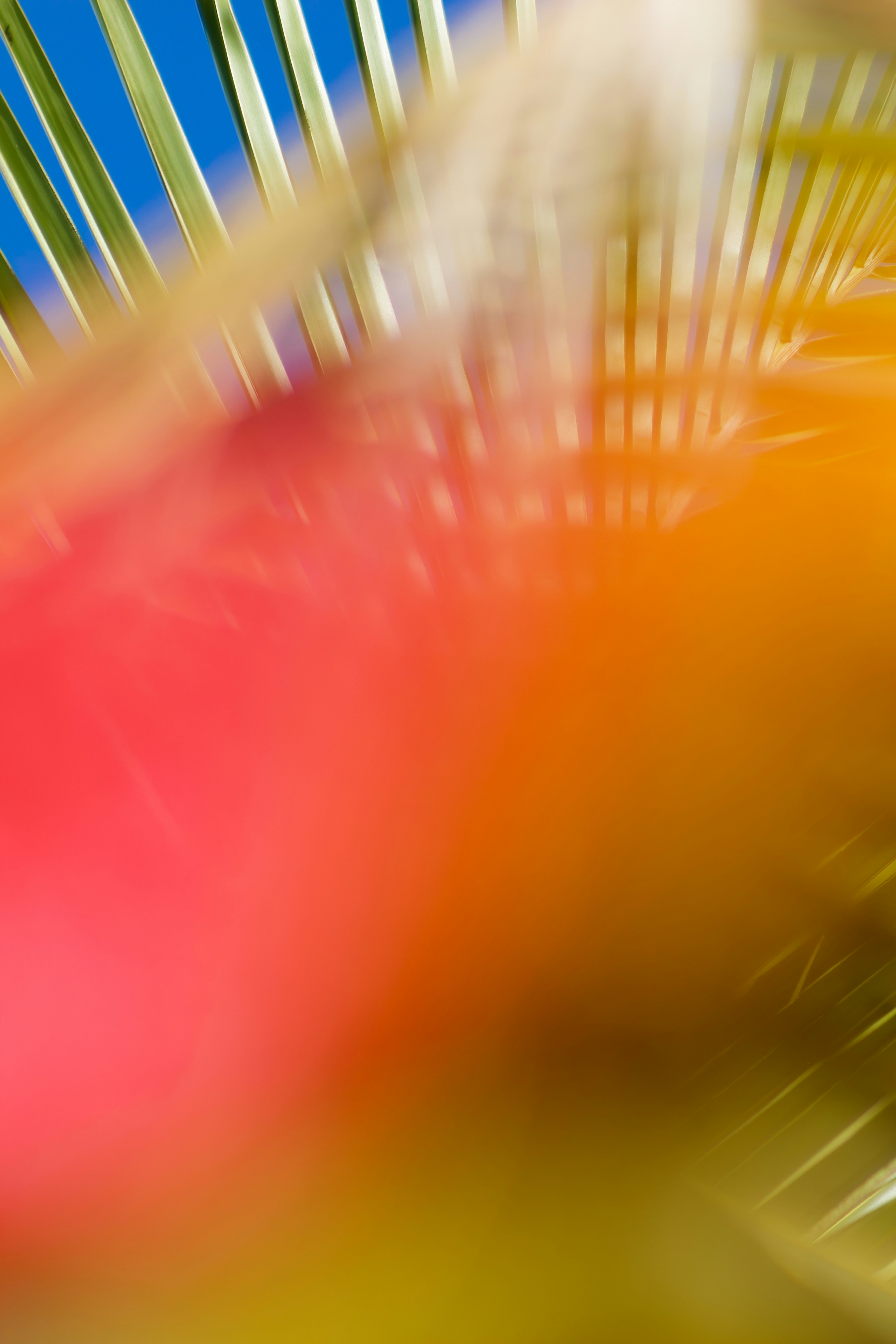 Vibrant abstract blur of palm fronds and tropical colors, creating a painterly mosaic with soft transitions. It appears as an artistic render rather than a traditional photograph.