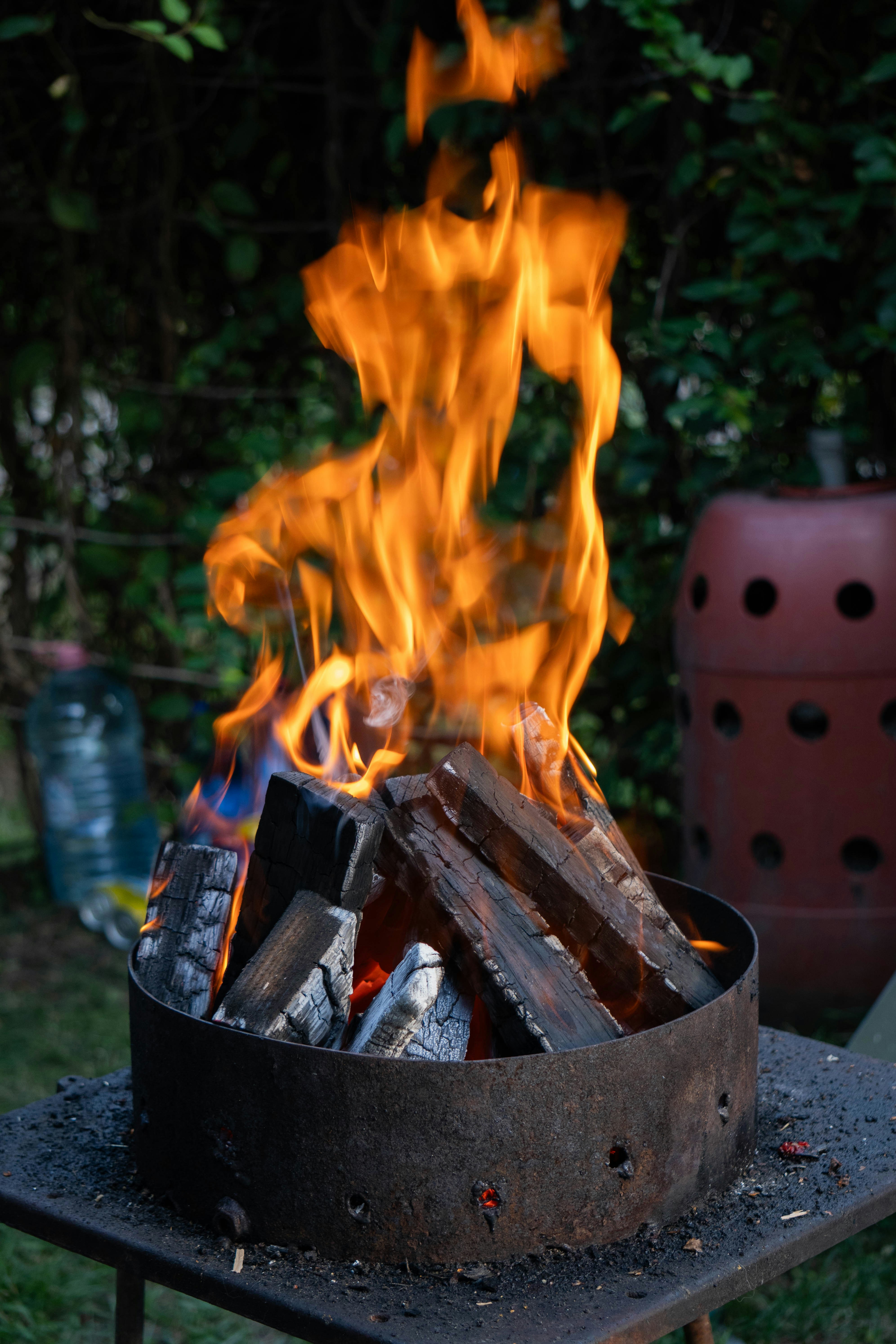 Center of Fire: A Ring of Ember on Charred Logs