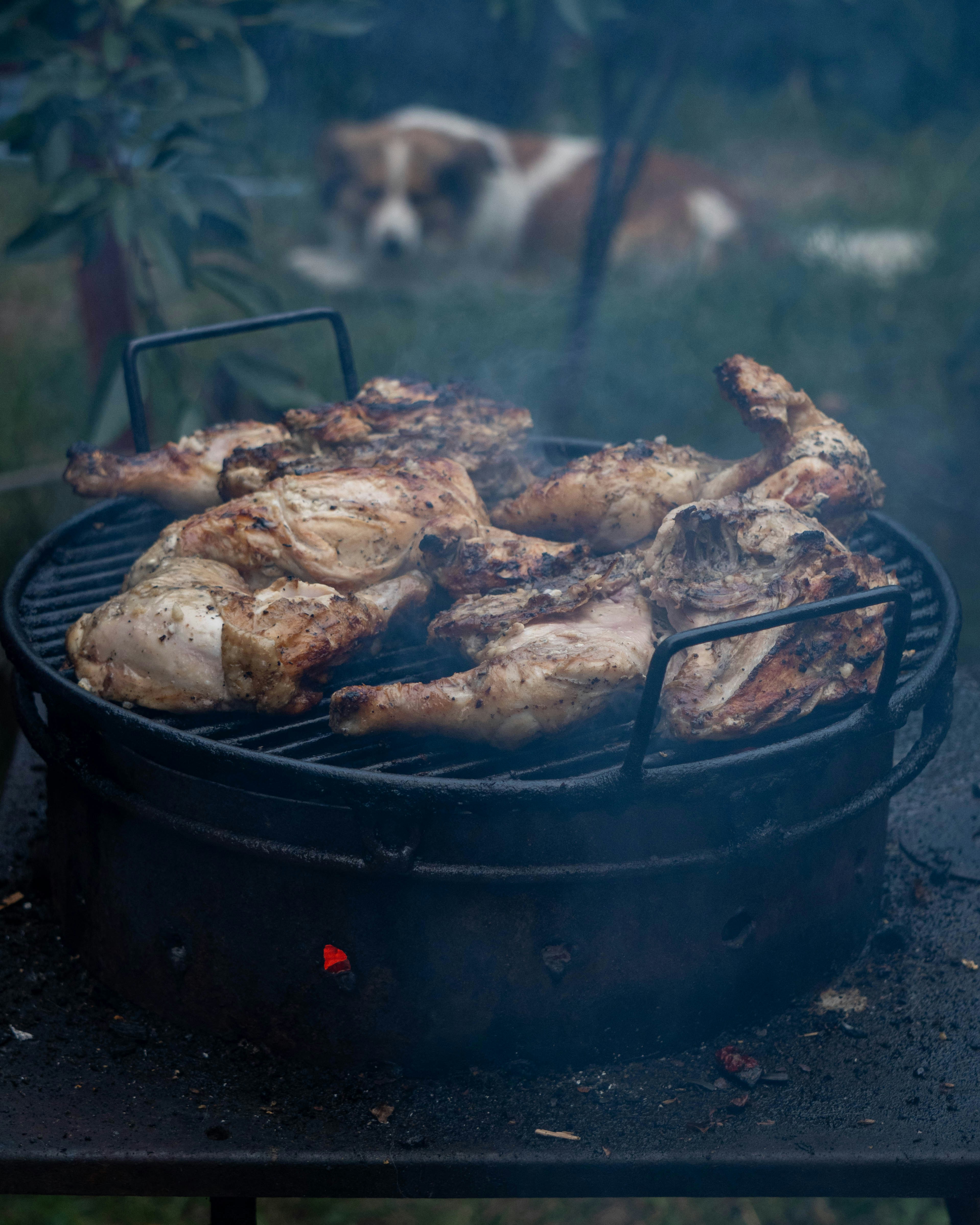Sizzling Grillmaster: Chicken Carnival on a Smoky Drum