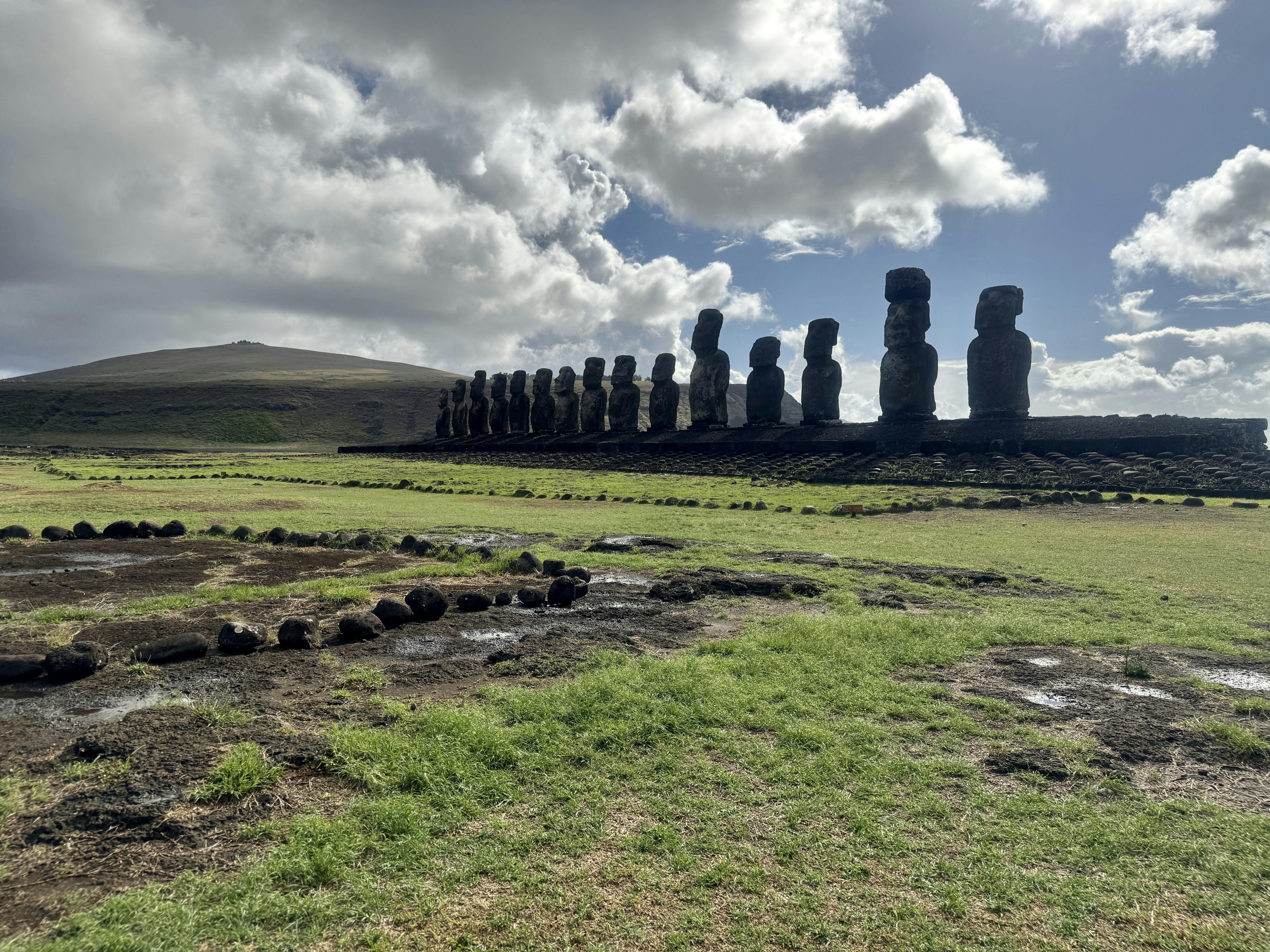 Stone Sentinels Overrolling Field at Island Lake