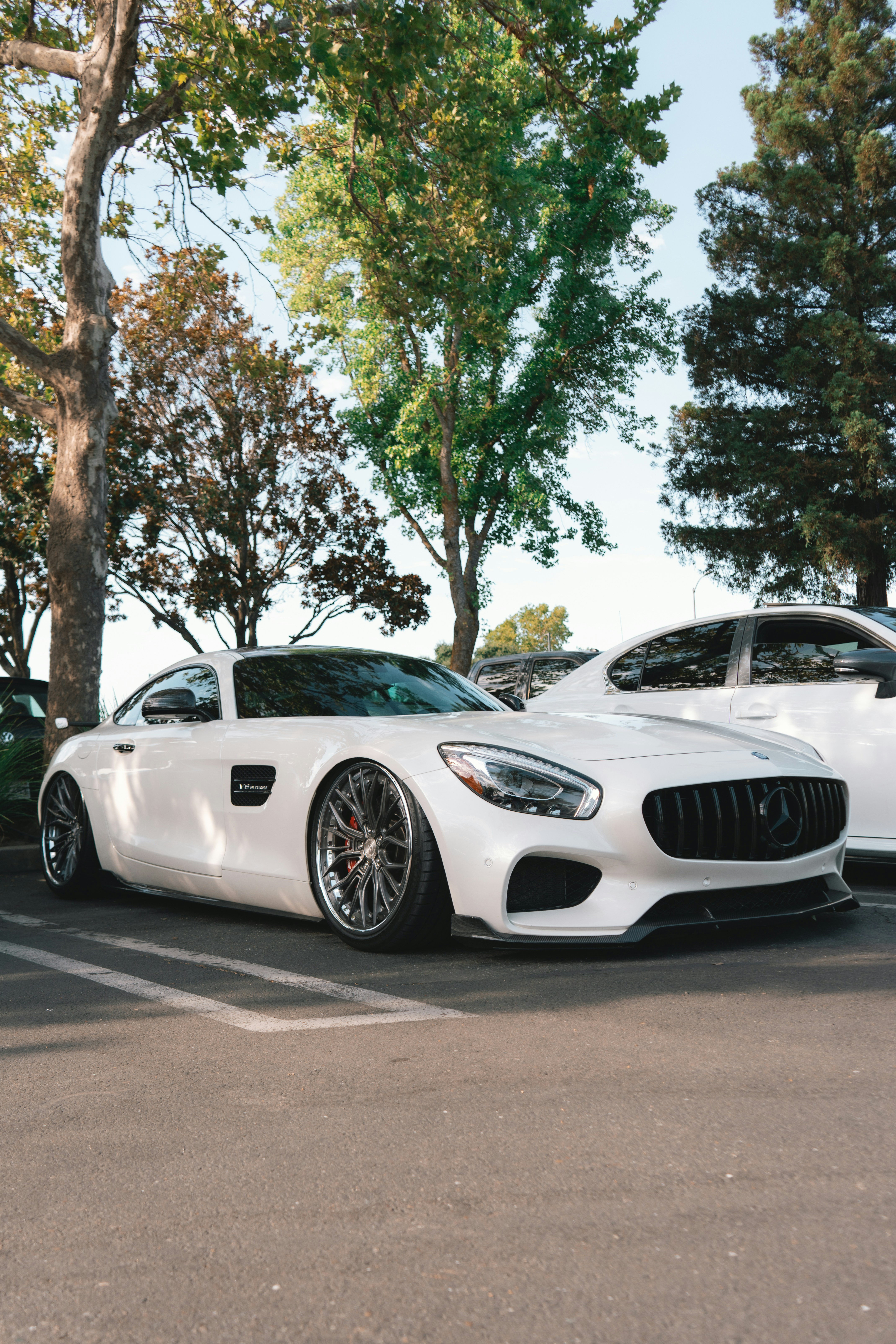 Low Profile Italian Power: White AMG-leaning Hypercar at Dappled Park