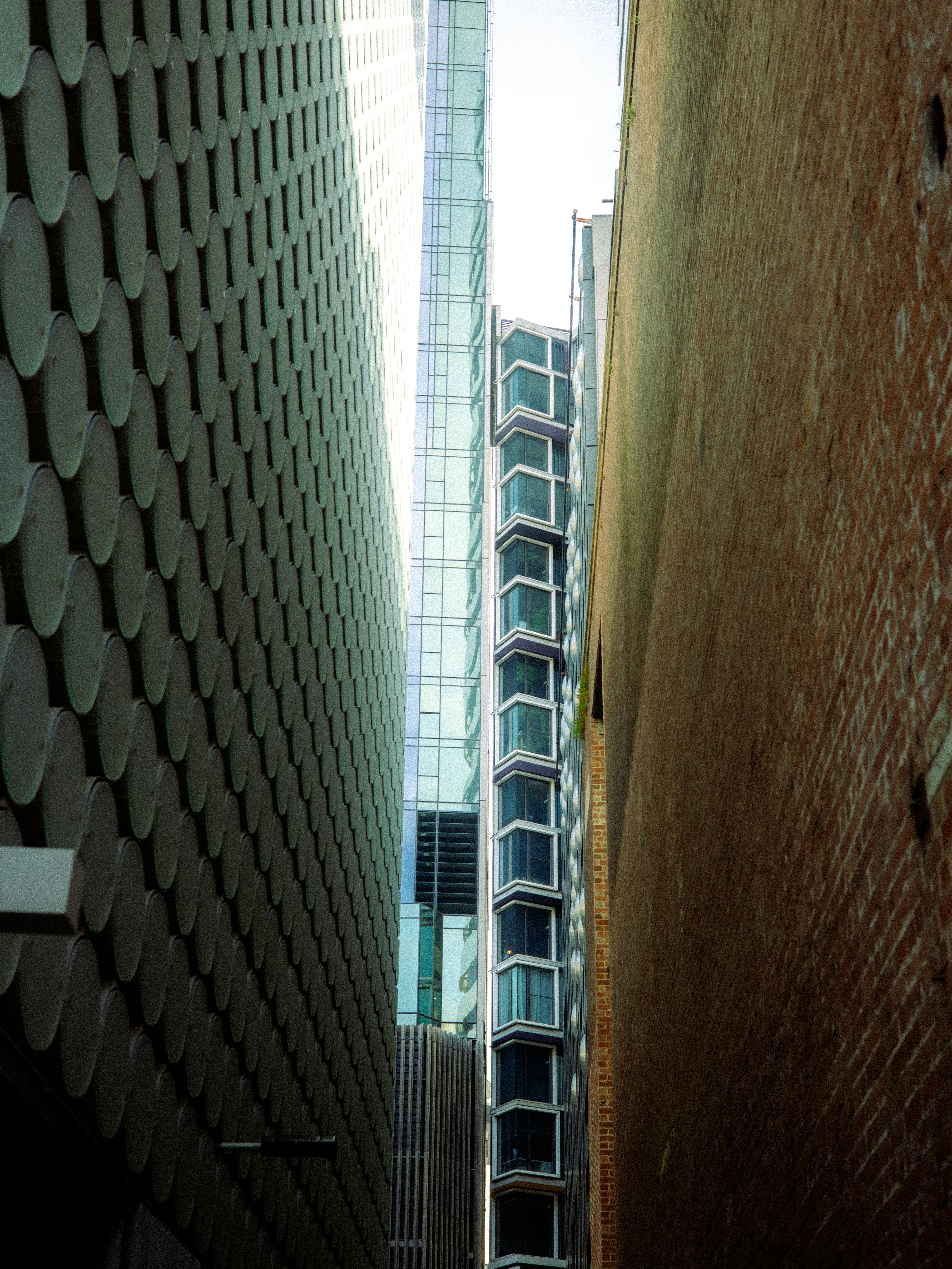 Vertical Narrowness: Glass spine between brick walls