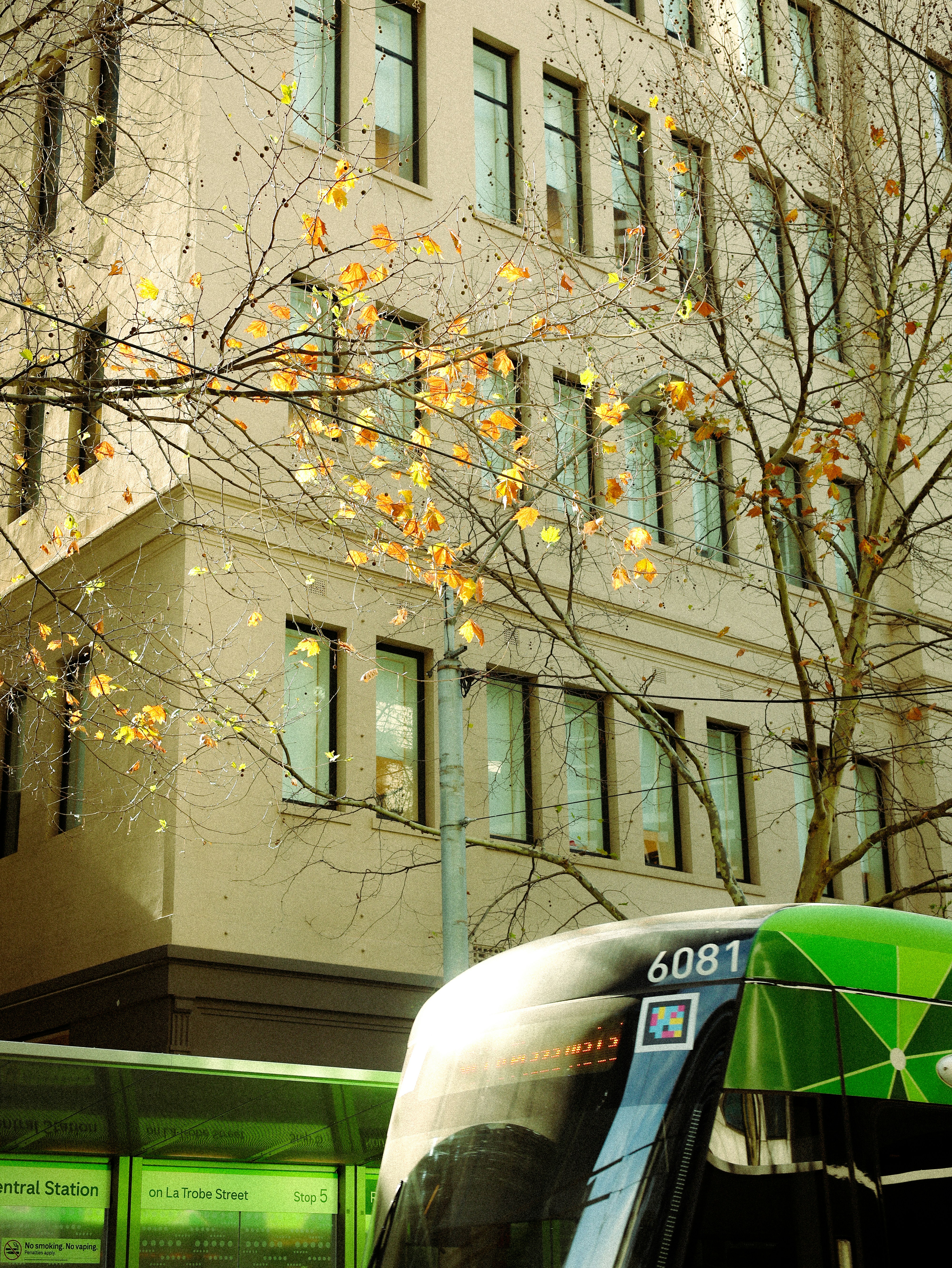 Autumn Echo on the City Track: Leaves, Windows, and a Green Train