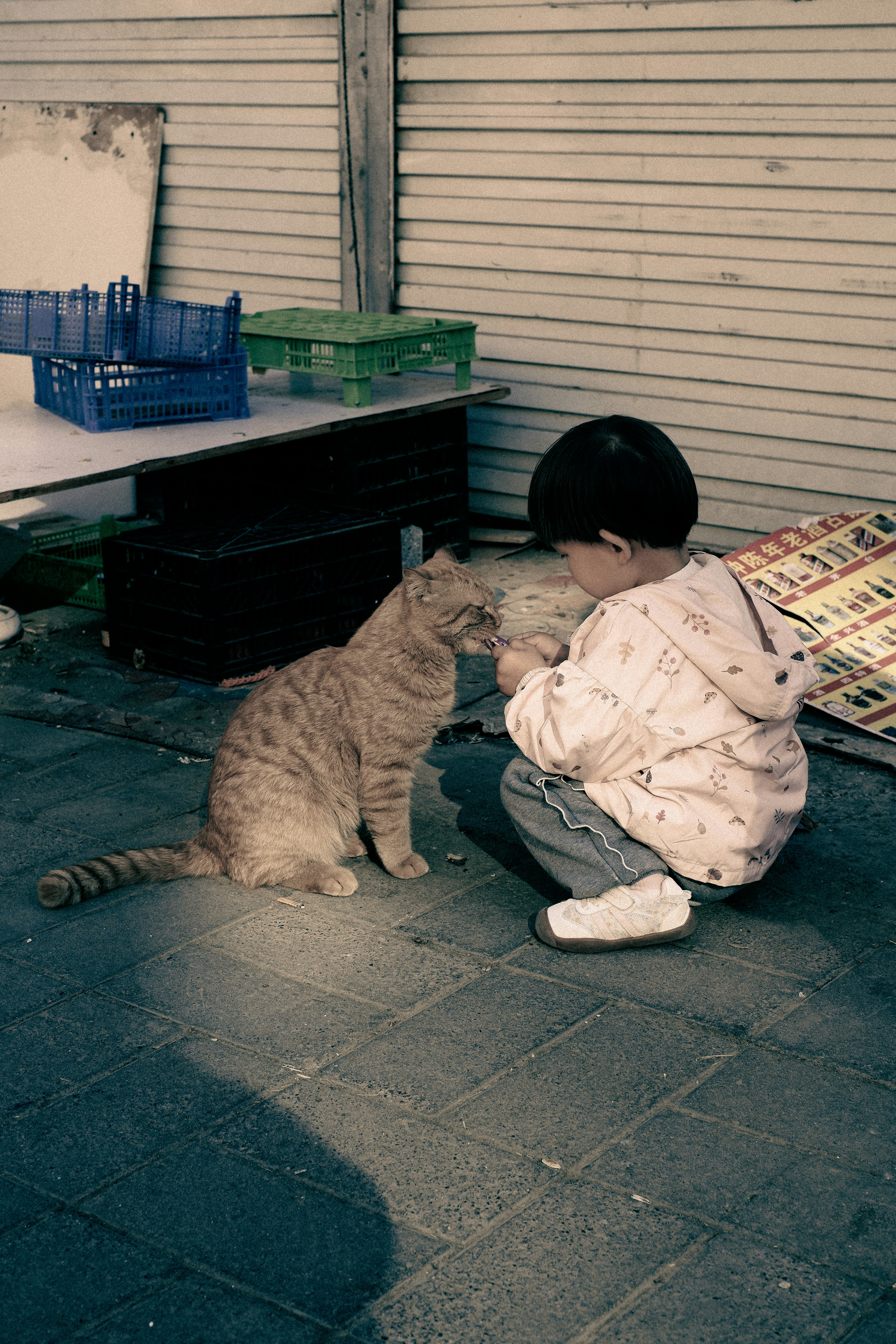 Lonely Market Encounter: Child and Cat Share a Quiet Moment