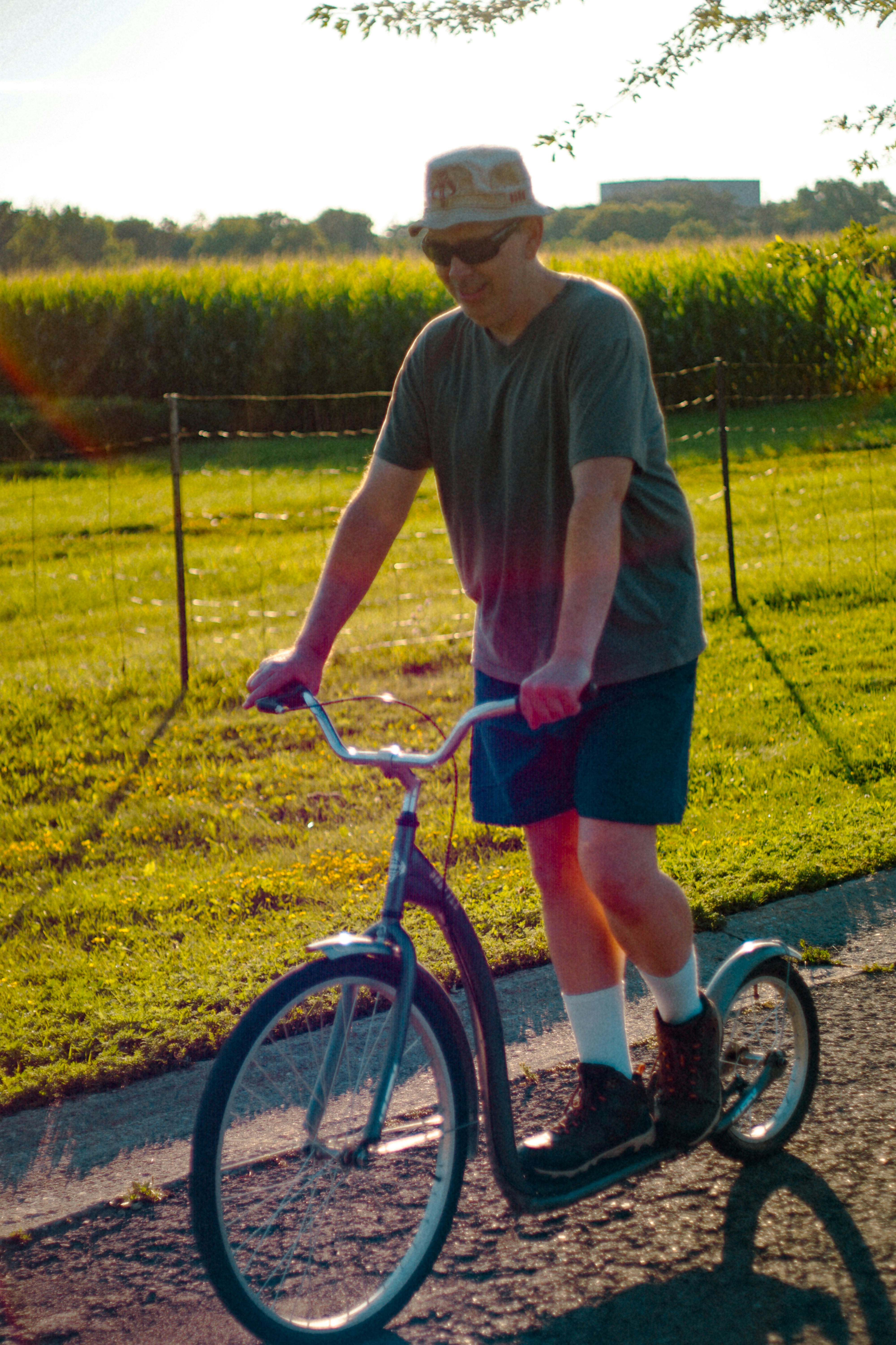 Sunlit Ride: Elderly Rider on a Classic Bicycle in a Golden-Hour Field