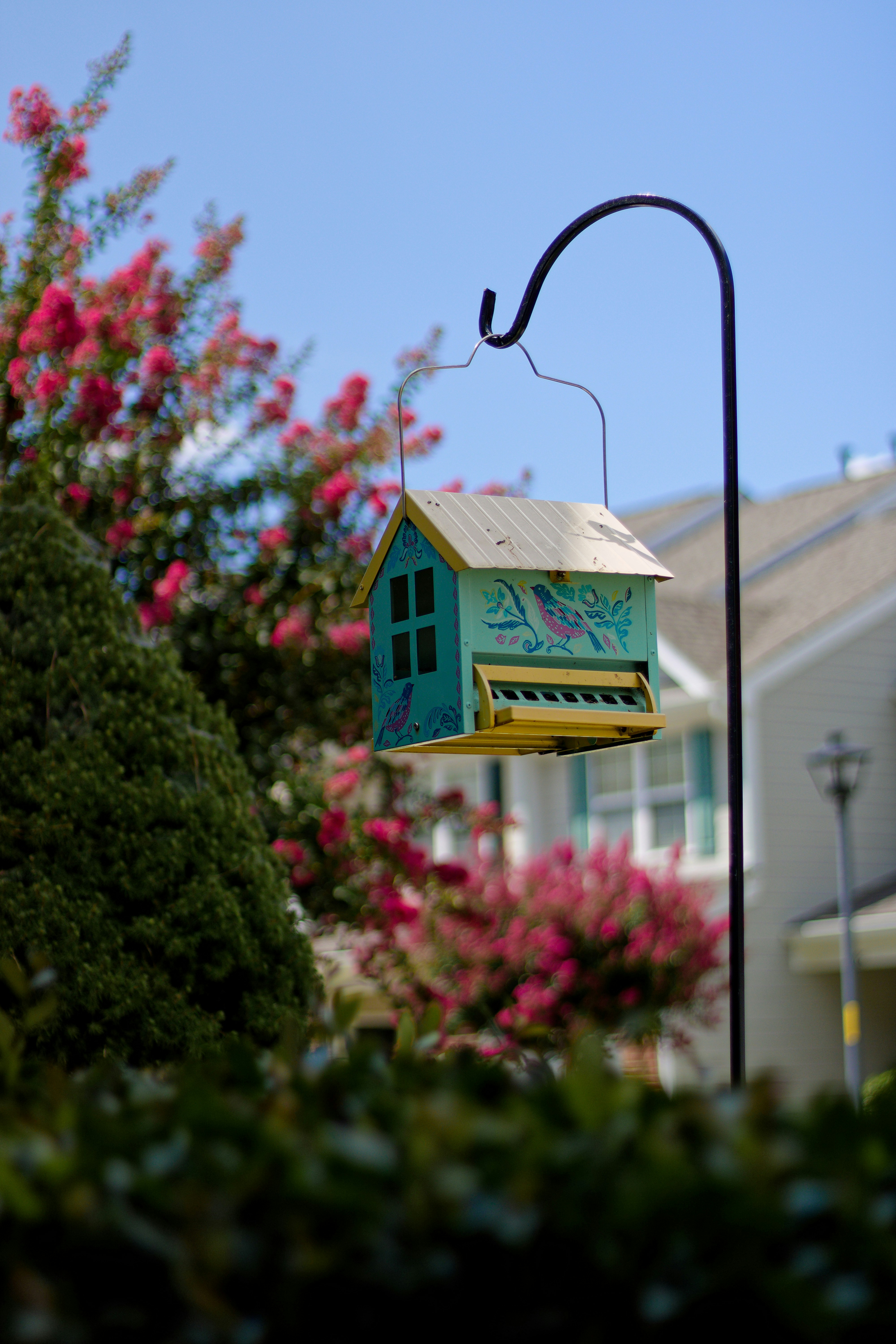 Birdhouse in Bloom: A Swinging Scene Under a Blue Sky