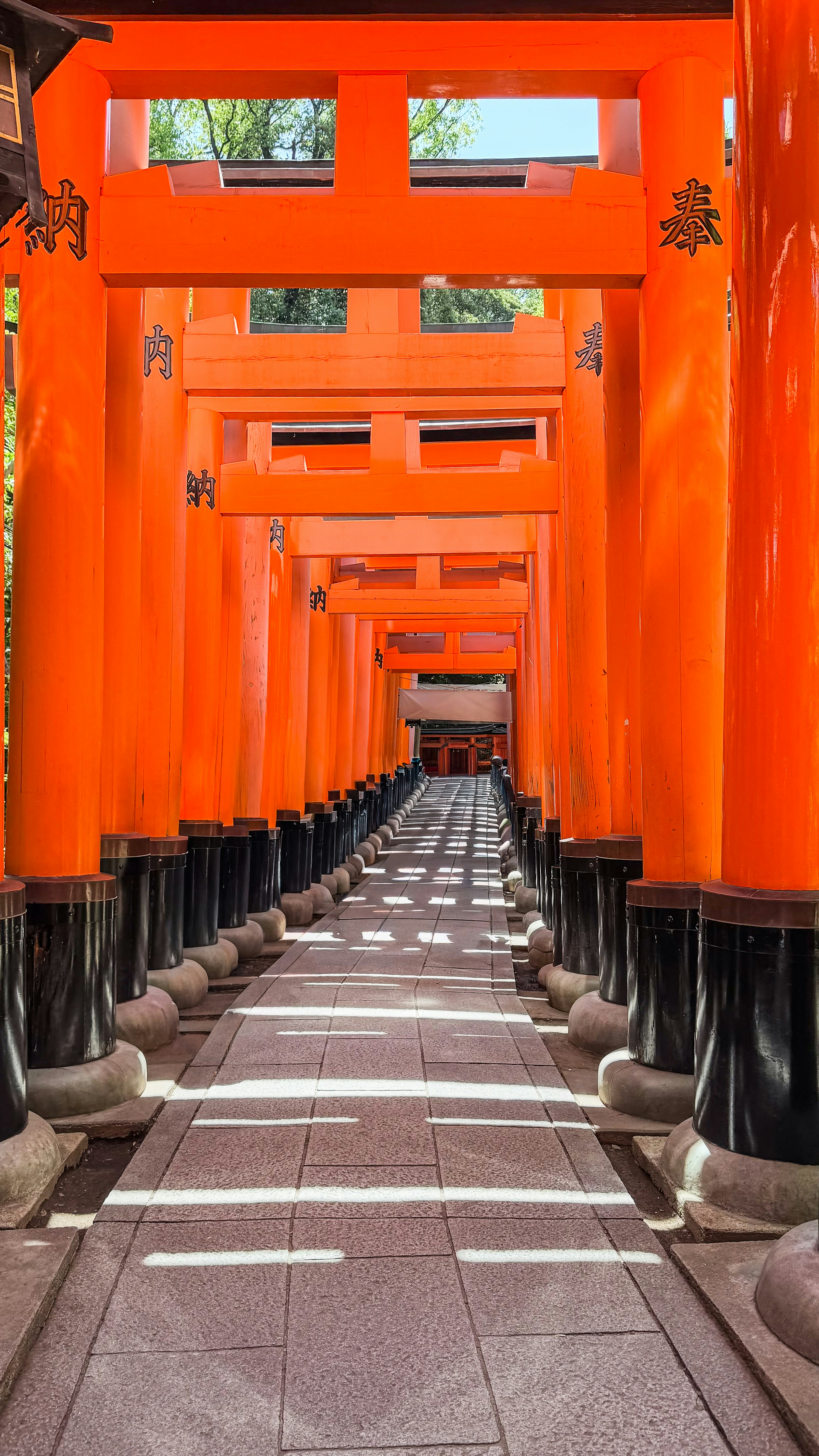 A Corridor of Flames: The Torii Tunnel Reaching Toward Light