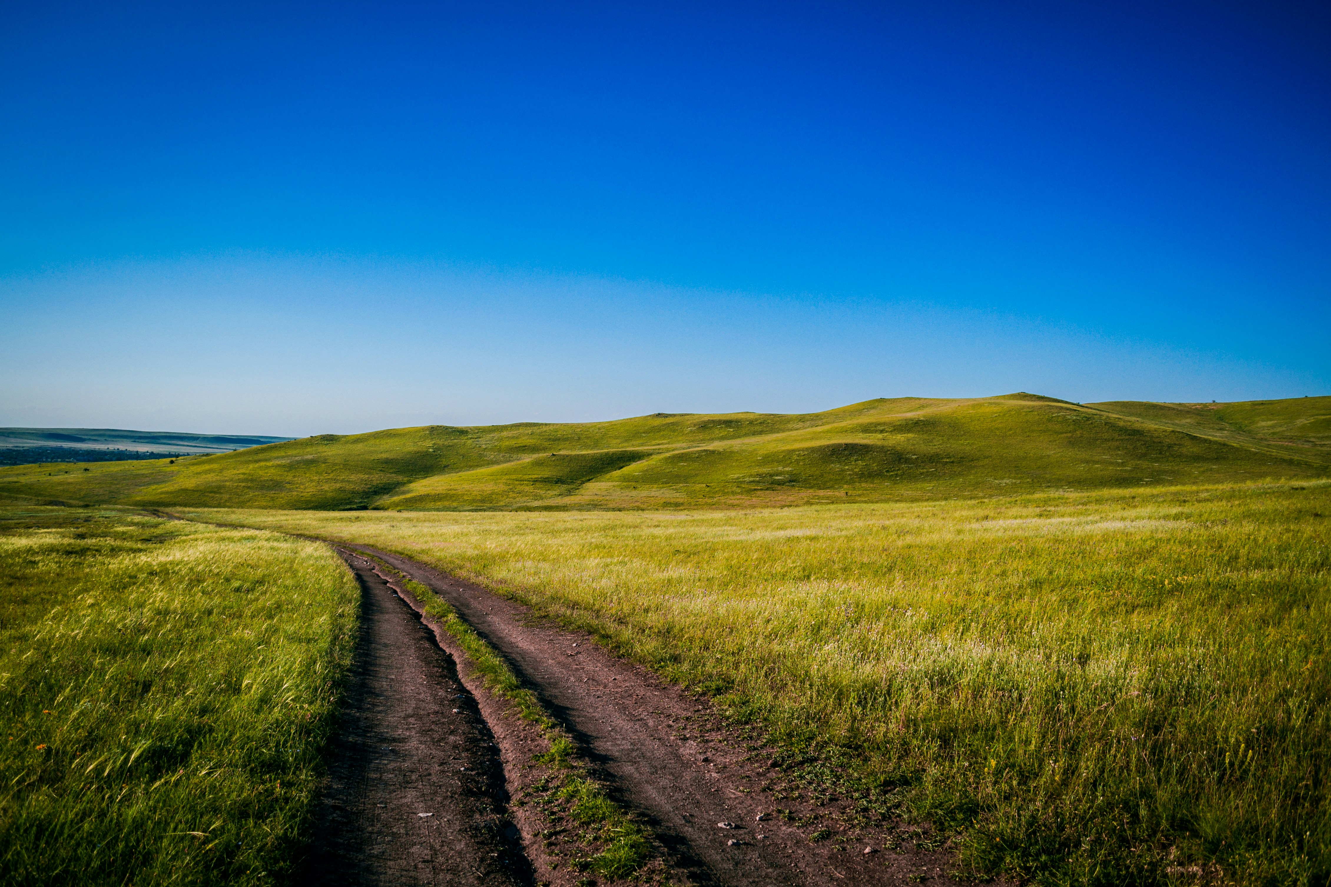 Trail Through Sunlit Grasses Toward Quiet Hills