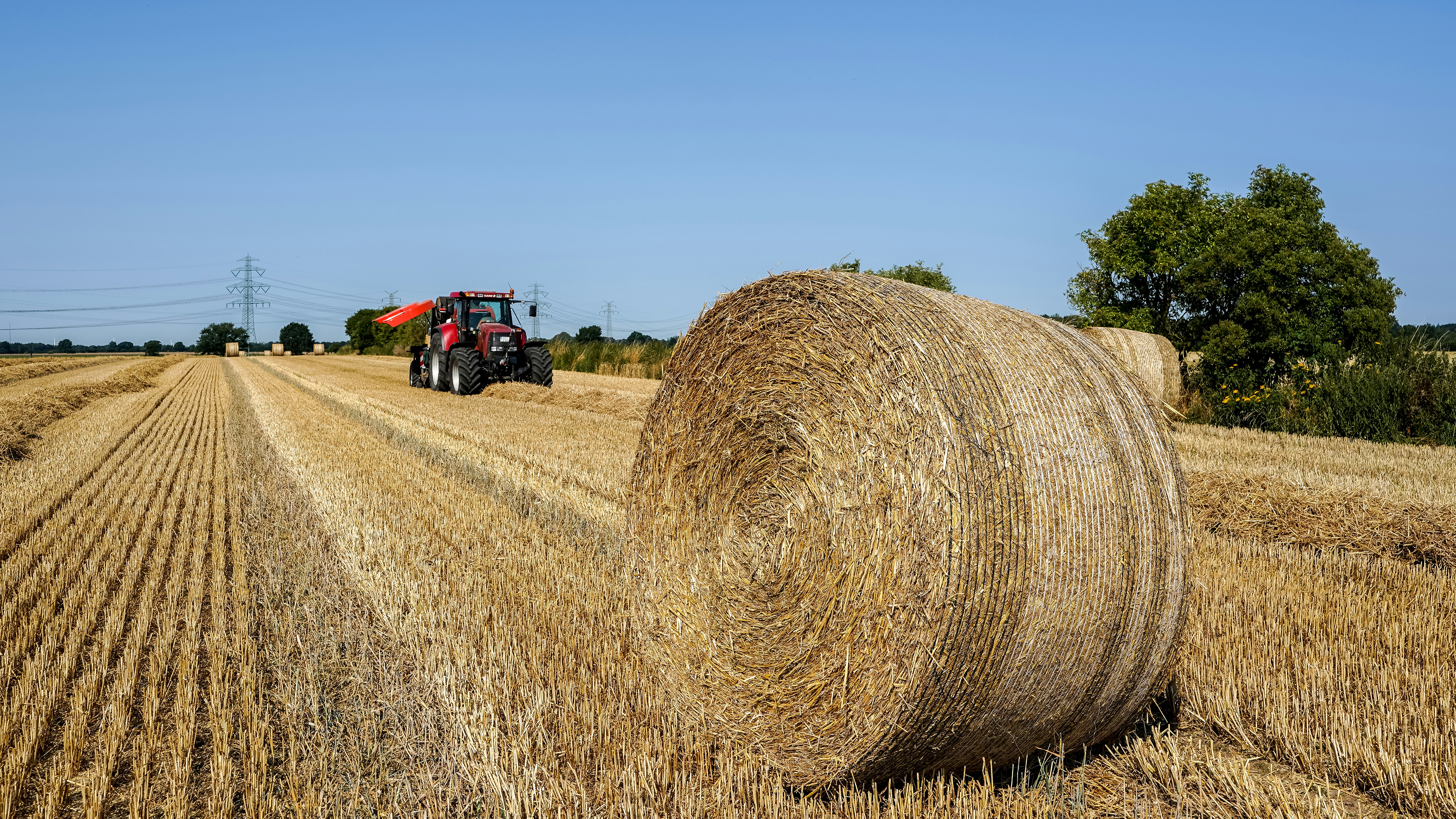 Harvest Horizon: A Red Tractor and a Rolling Round of Golden Bales
