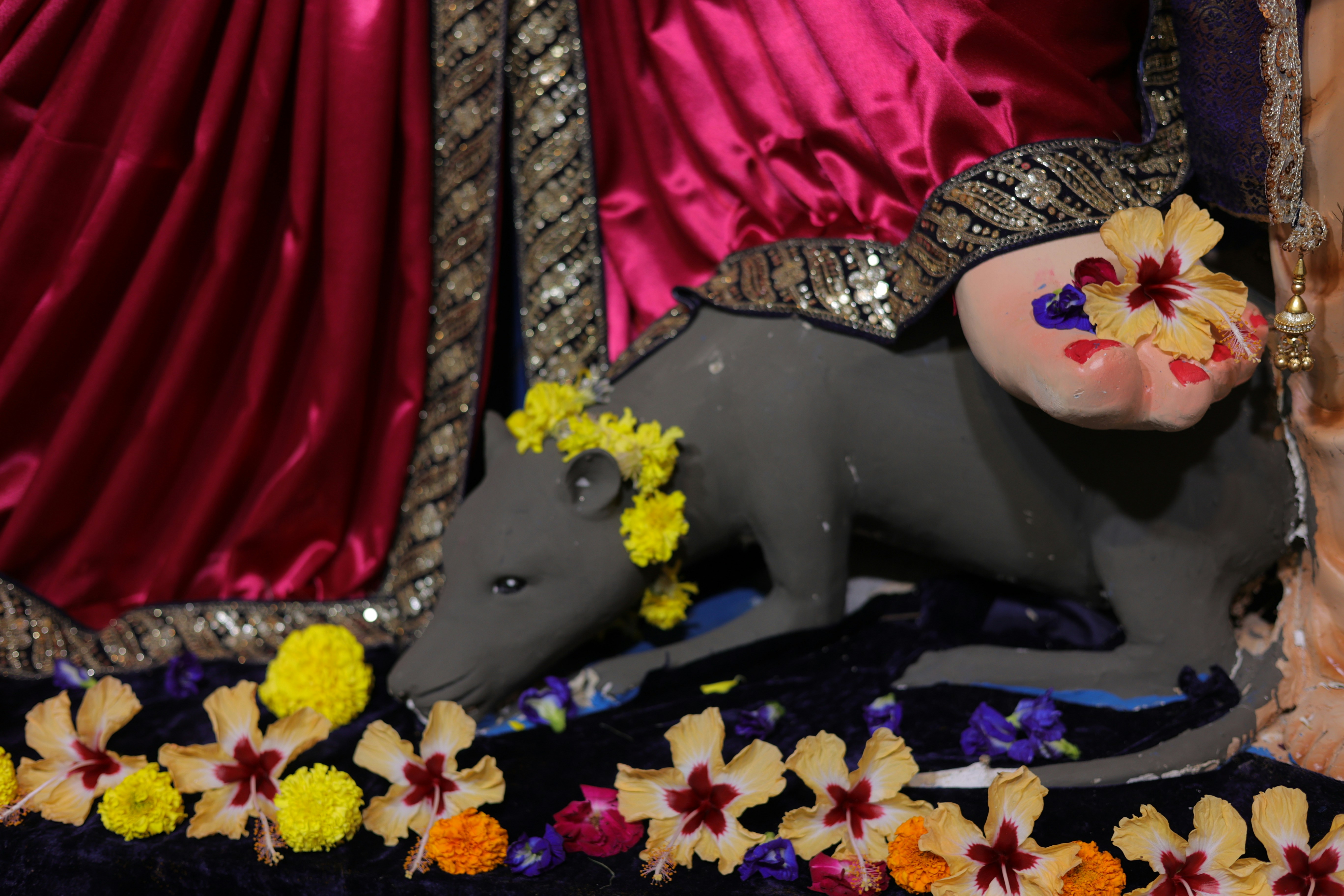 Floral Crowned Silence: A Dark Elephant Among Velvet Curtains