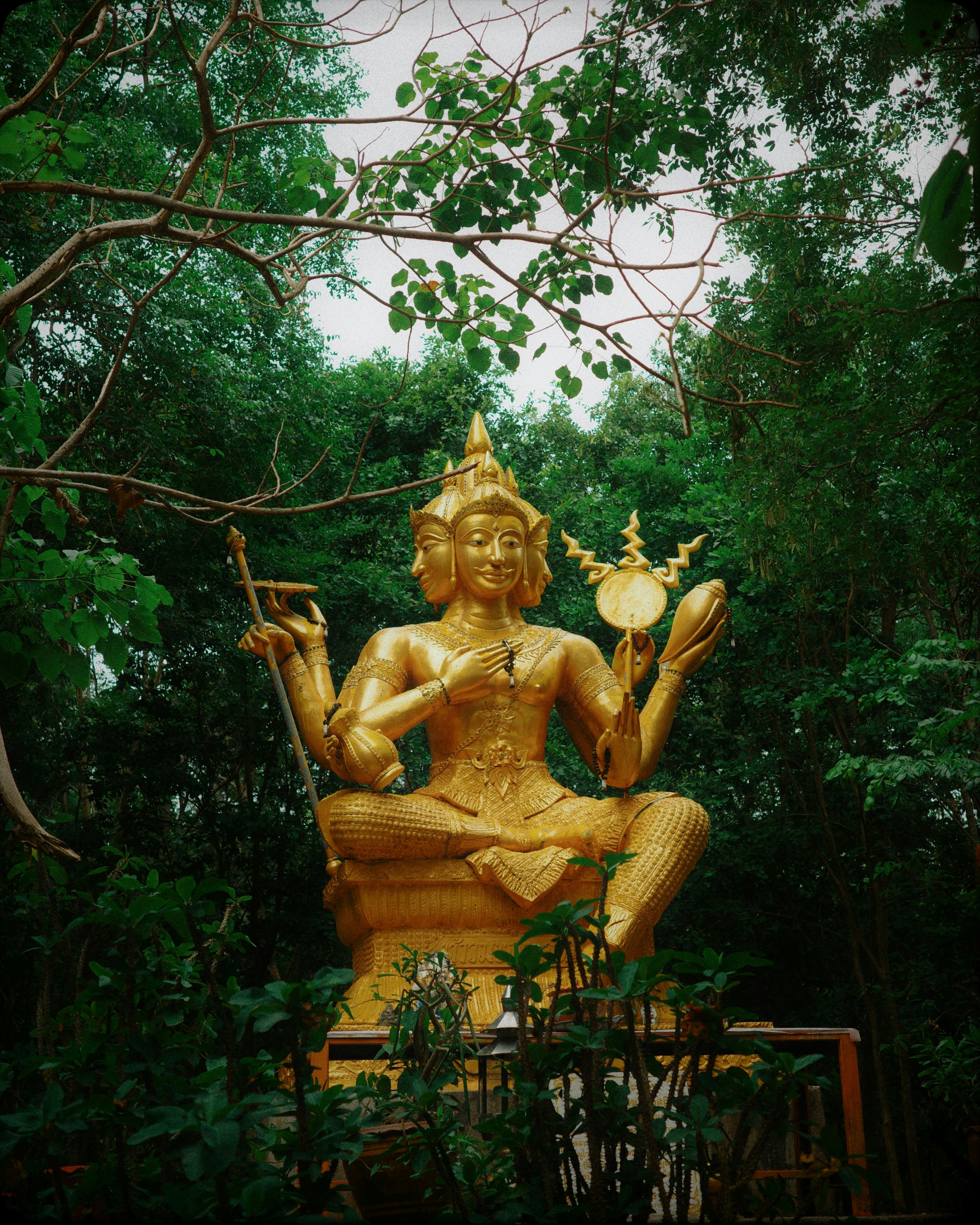 Golden Deity Emerges from the Green Canopy