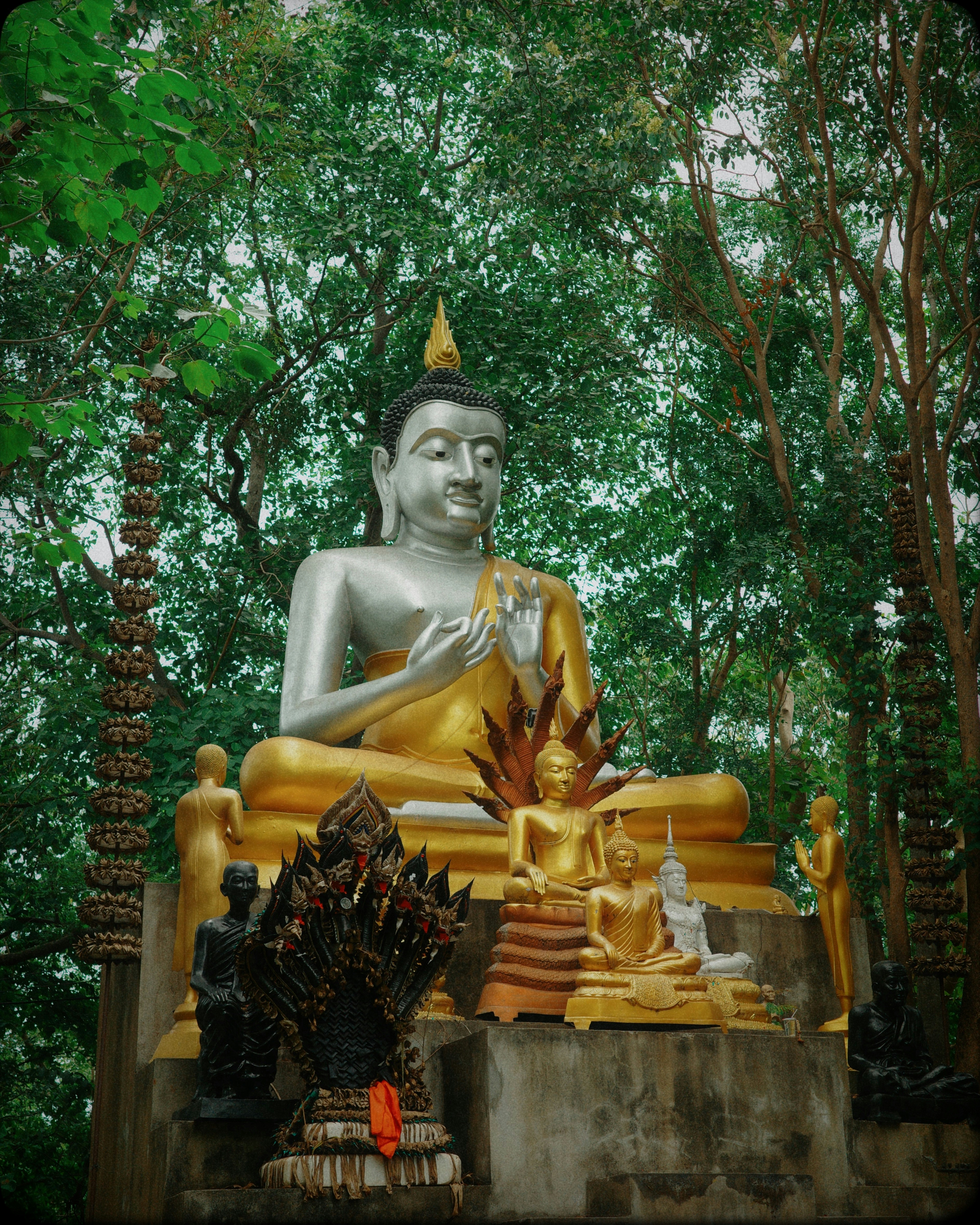Golden Buddha Amid Verdant Silence