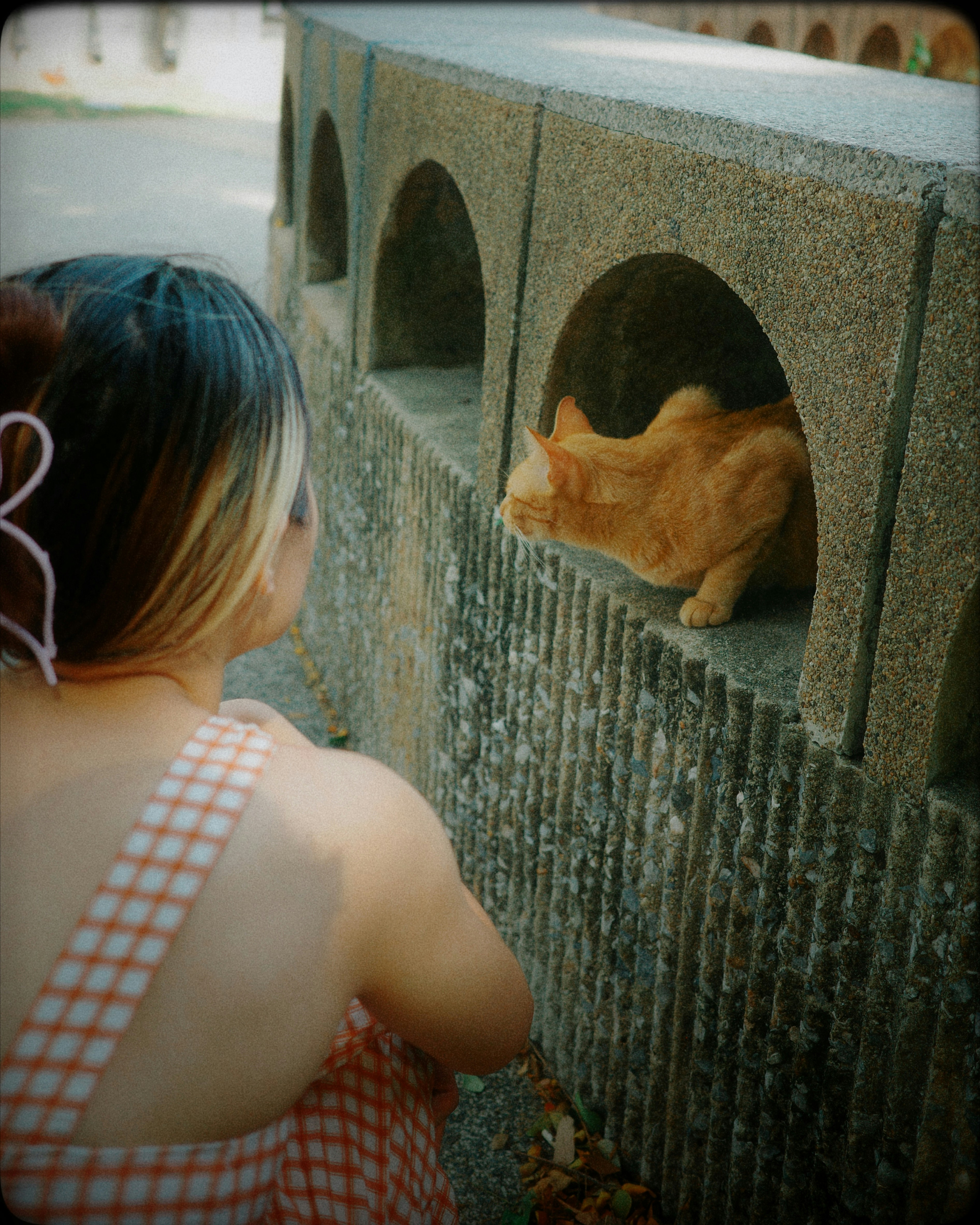Girl and Cat: A Quiet Moment by the Concrete Arches