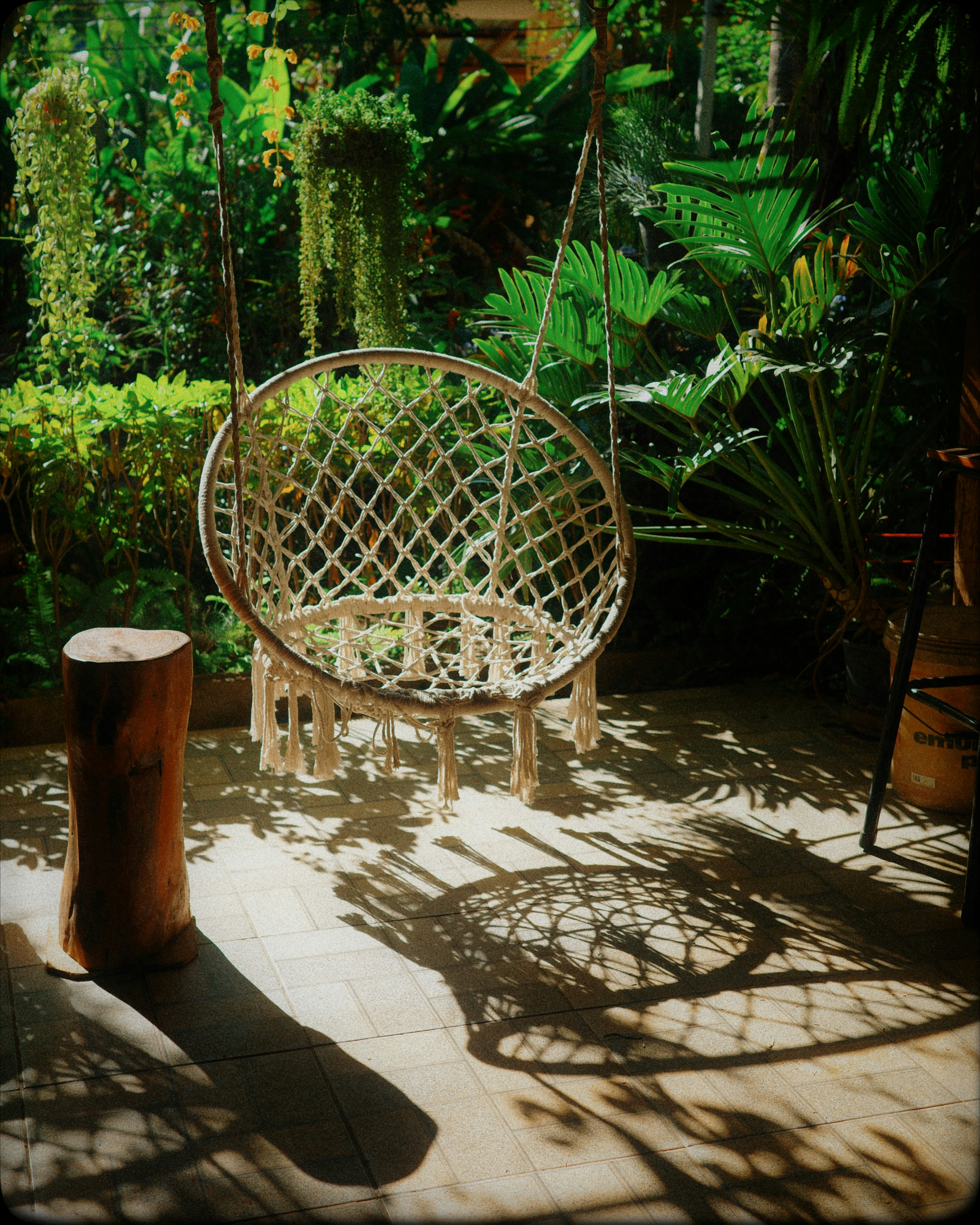 Sunlit Swing: Macramé Chair in a Lush Courtyard