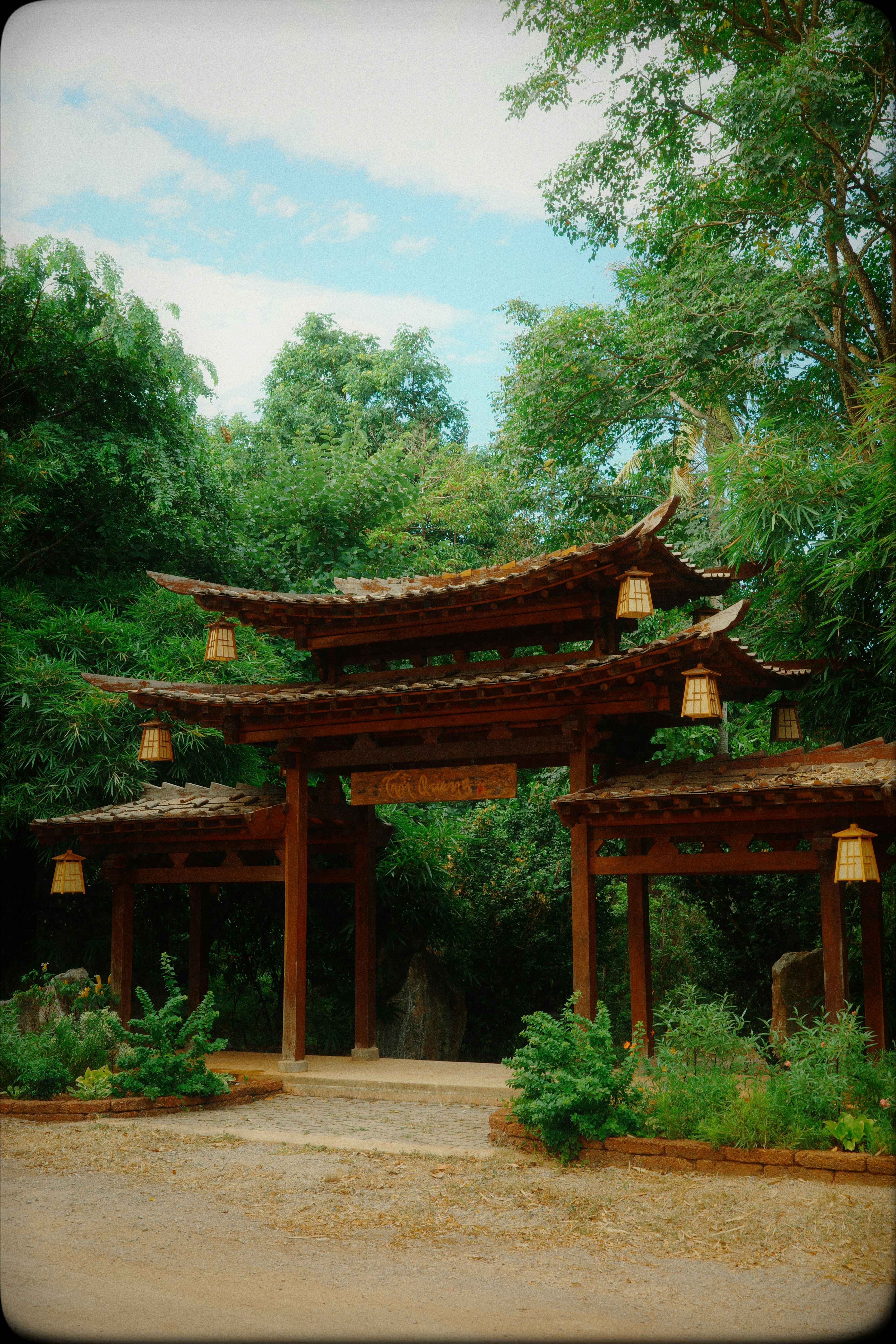 Gateway of Cedar Lanterns: A Tranquil Japanese-Inspired Entrance