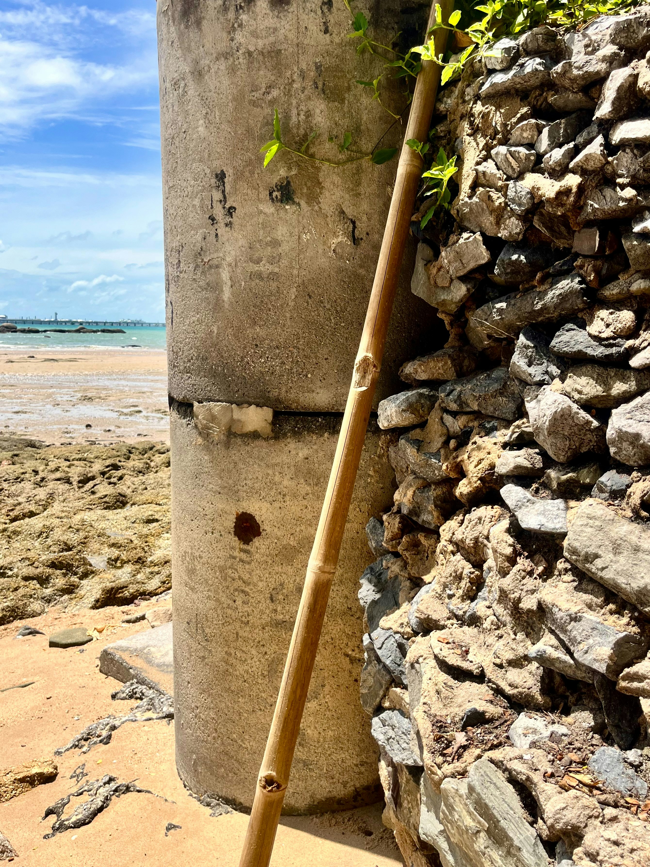 Sunlit Beach Corner with Bamboo Crevice and Stone Wall
