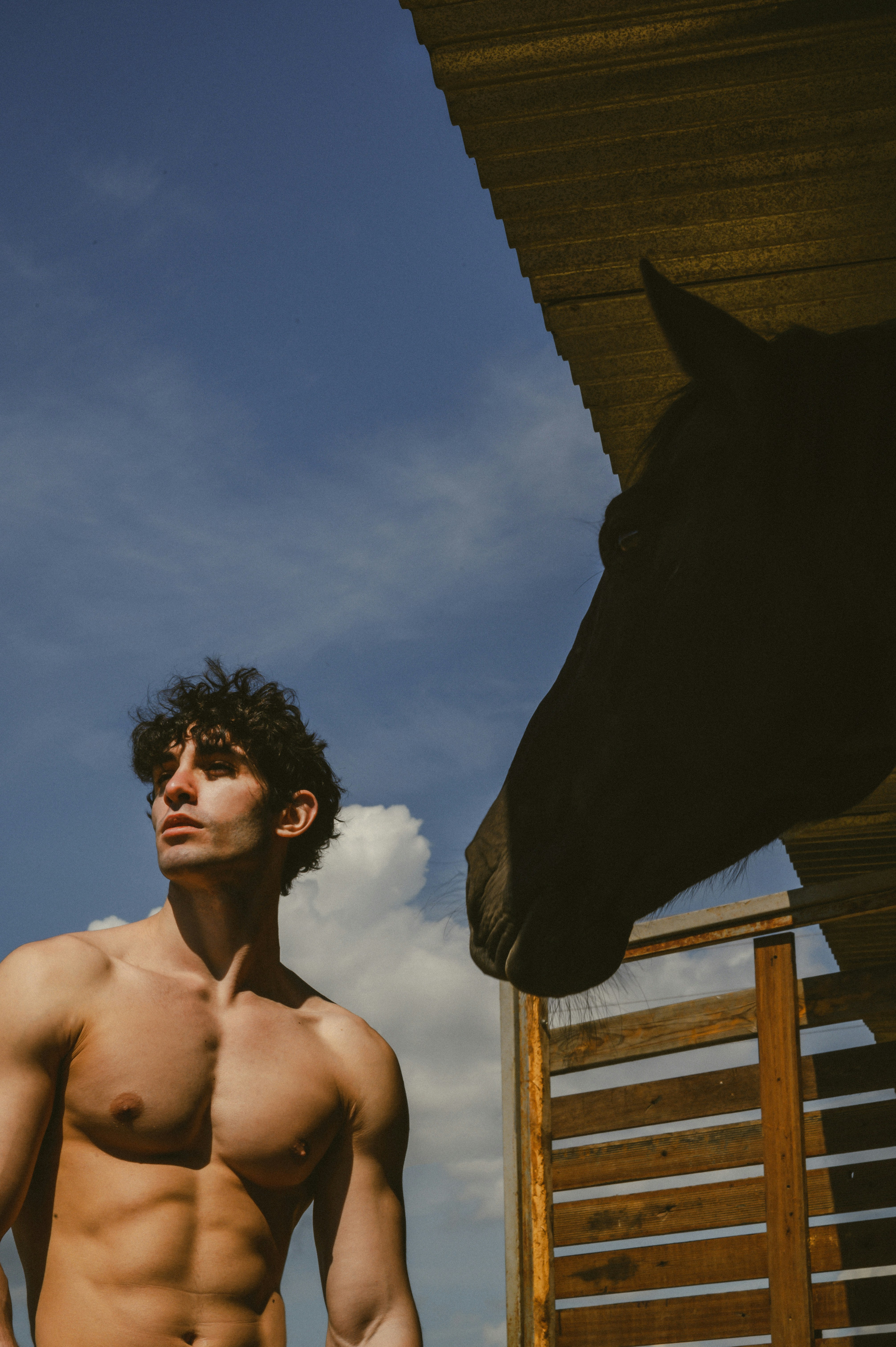 Silhouette of a Young Man and a Horse under a Wooden Shelter