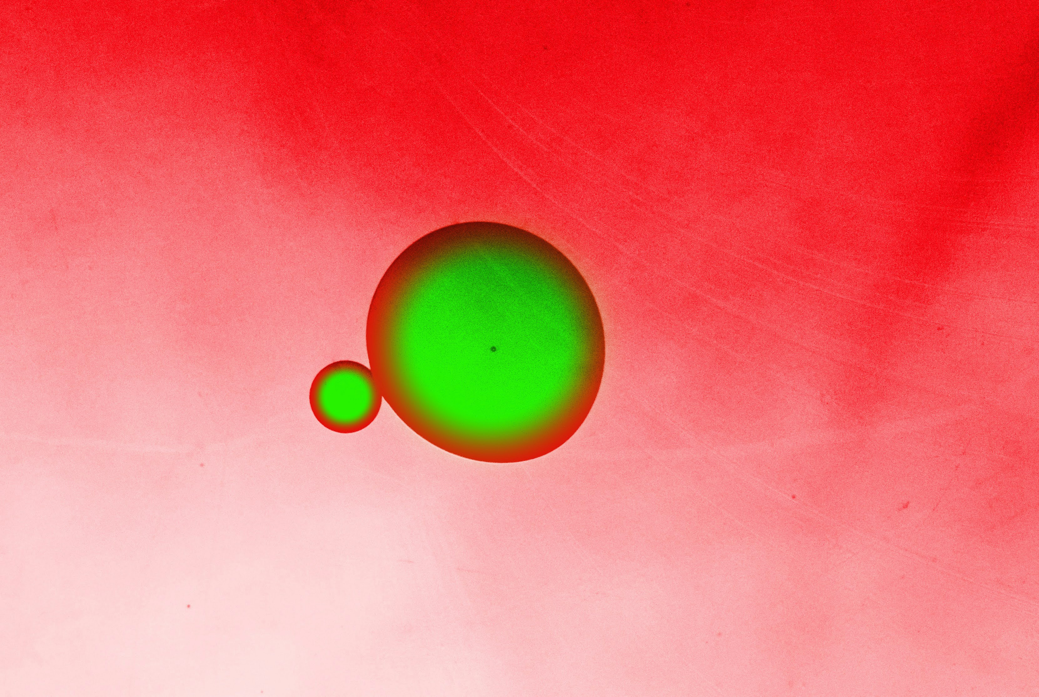Vivid Orbs on a Red Field: A Macro Bokeh Study