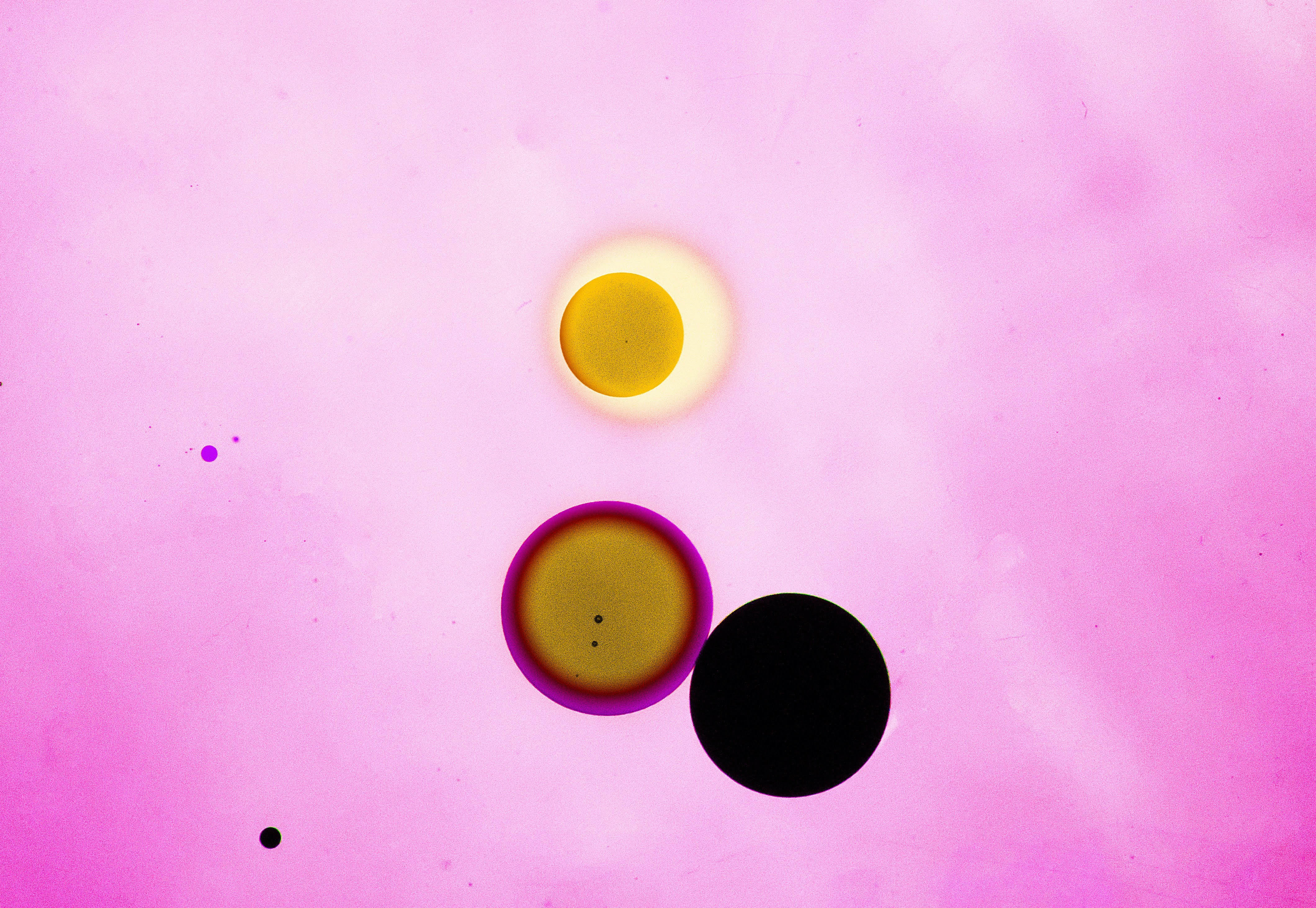 Colorful Concentric Drops in a Pink Fluid Plane