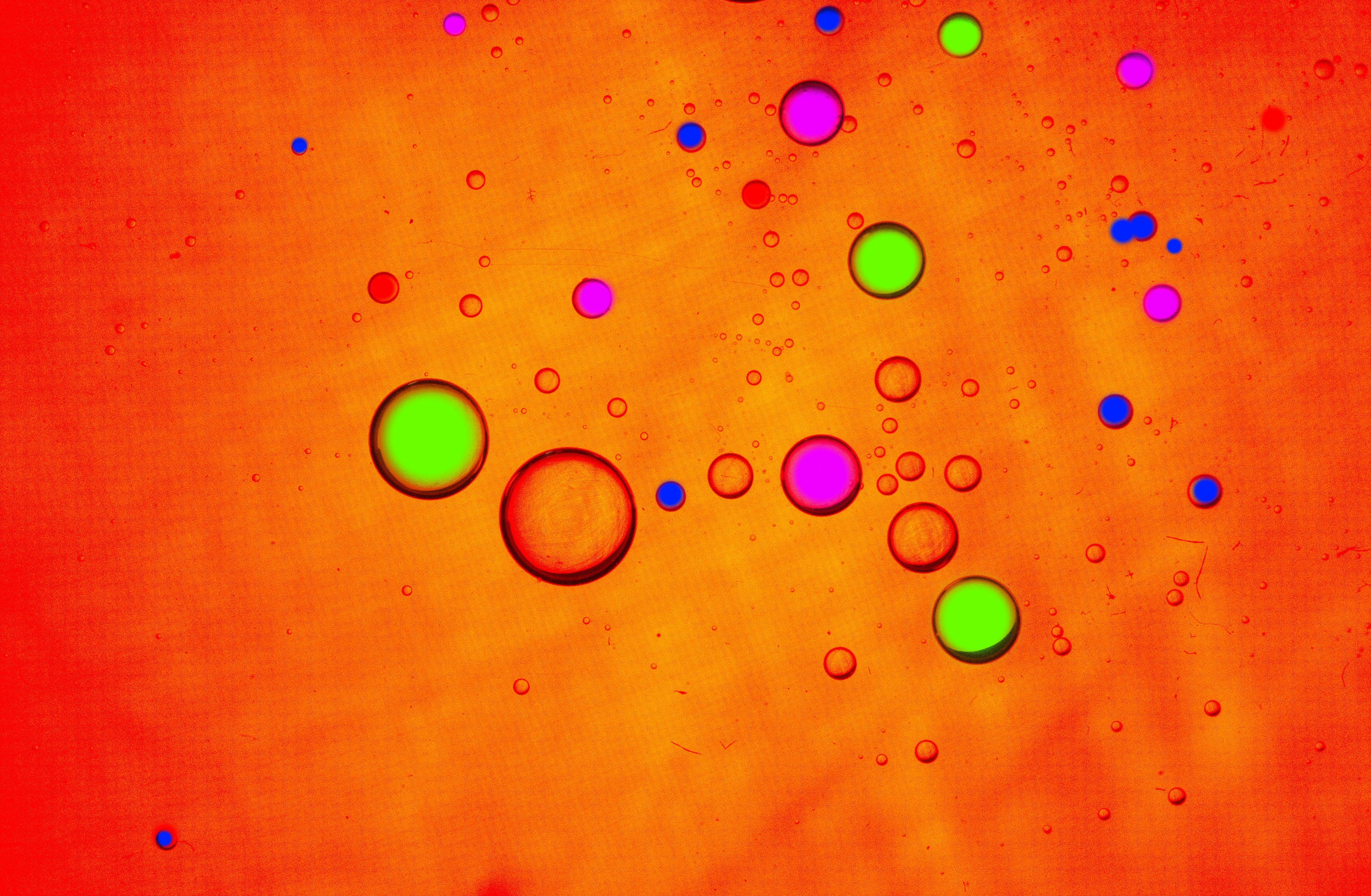 Chromatic Orbs: A Macro Mosaic of Colorful Bubbles