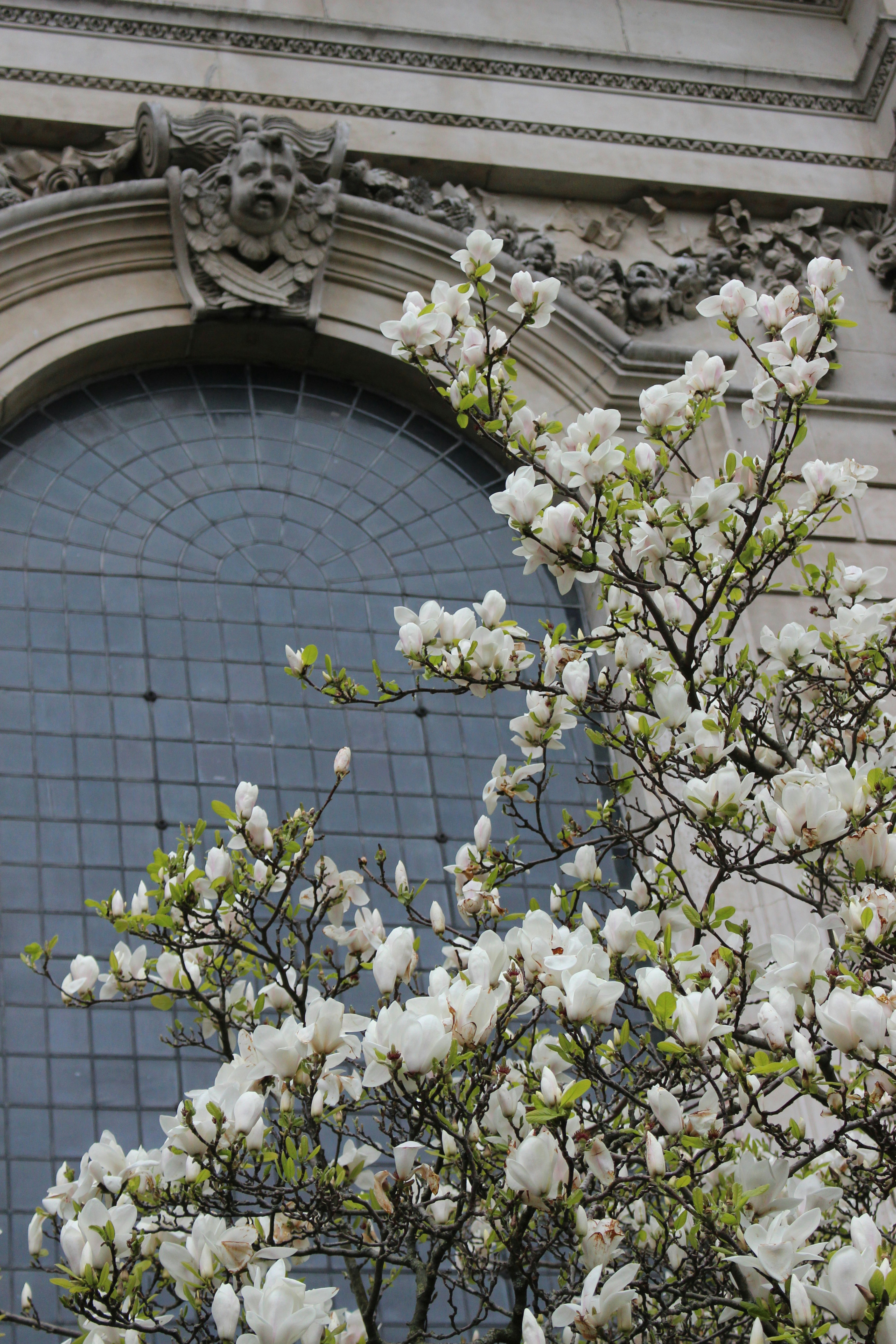 Photo by Kate Wells with Canon EOS 700D