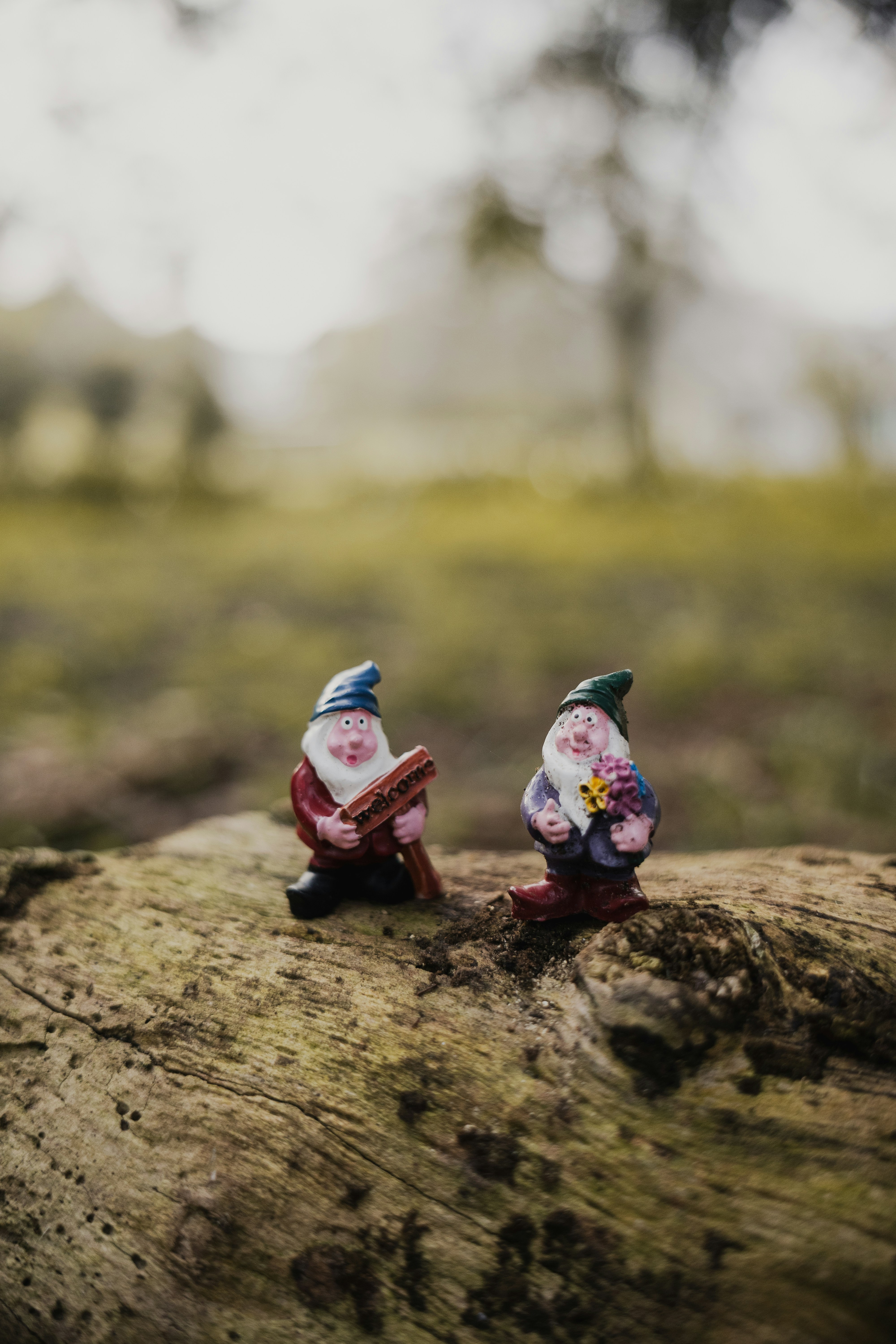 Tiny Garden Guardians: Gnomes Guarding a Mossy Log