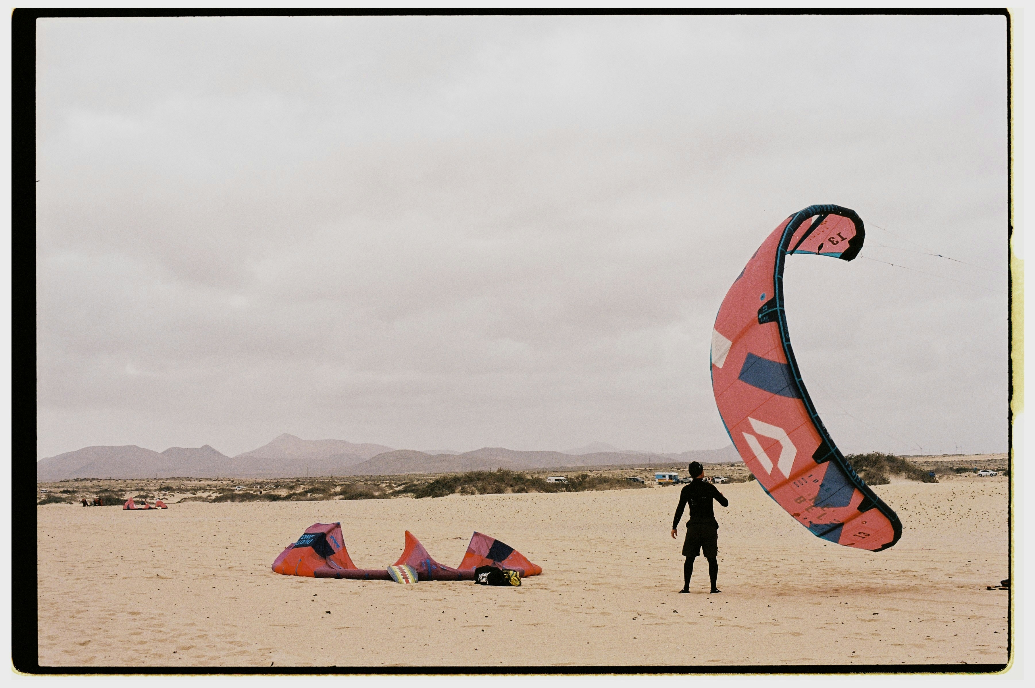 Windrunner on the Dune: A Wind-Swept Moment on Desert Sands