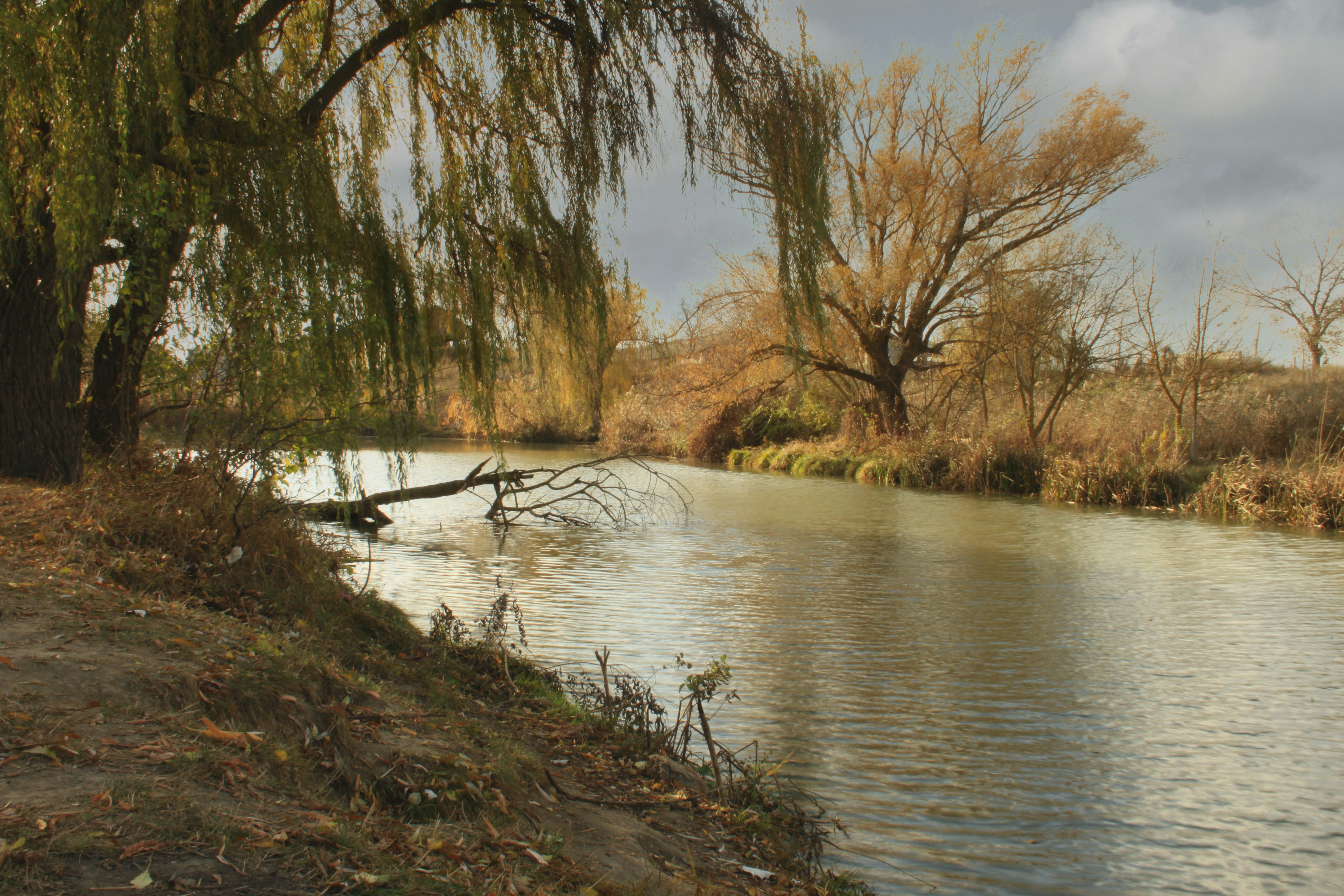 Quiet Riverbank in Autumn Light
