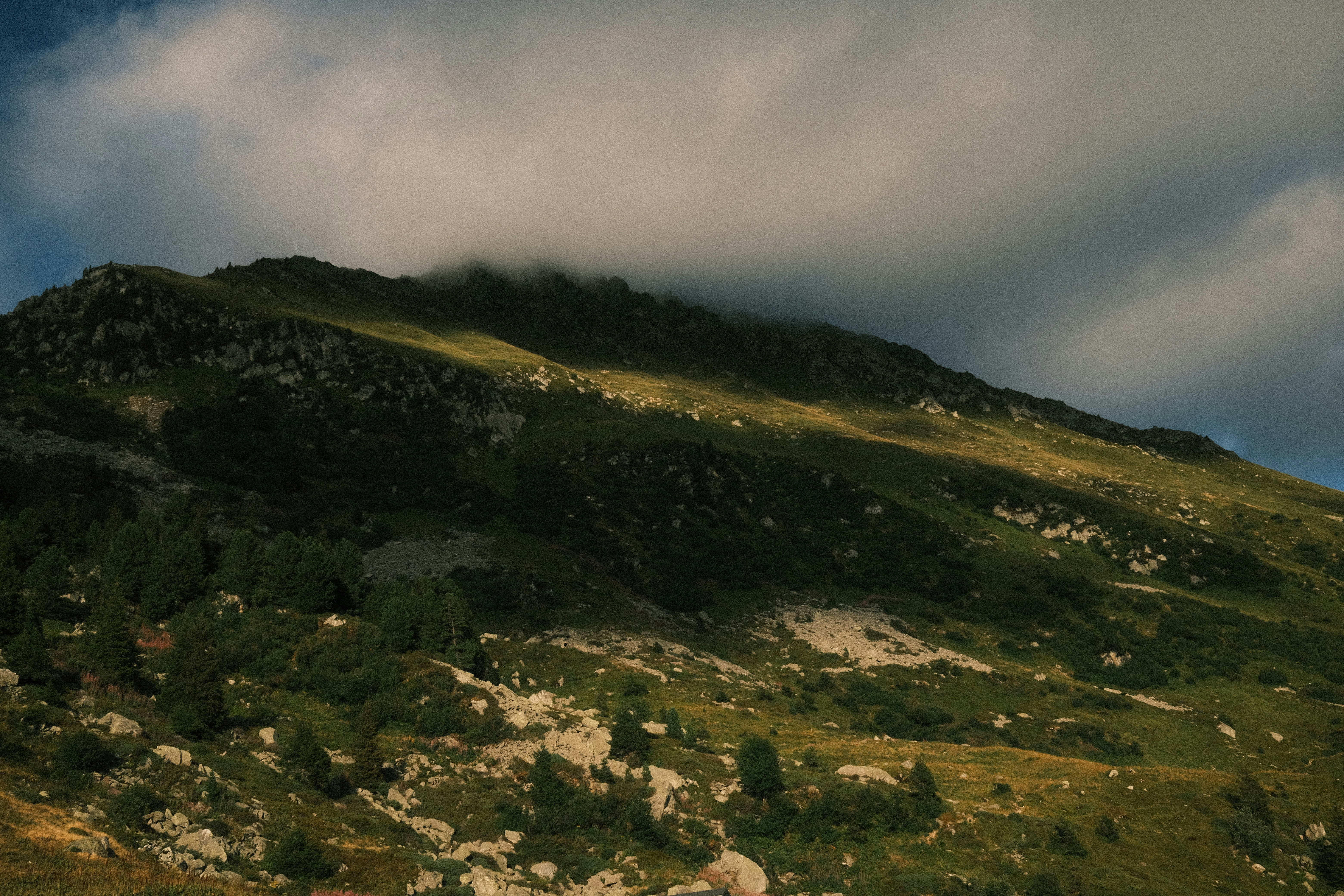 Sunlit Ridge: A Quiet Moment Above the Foothills