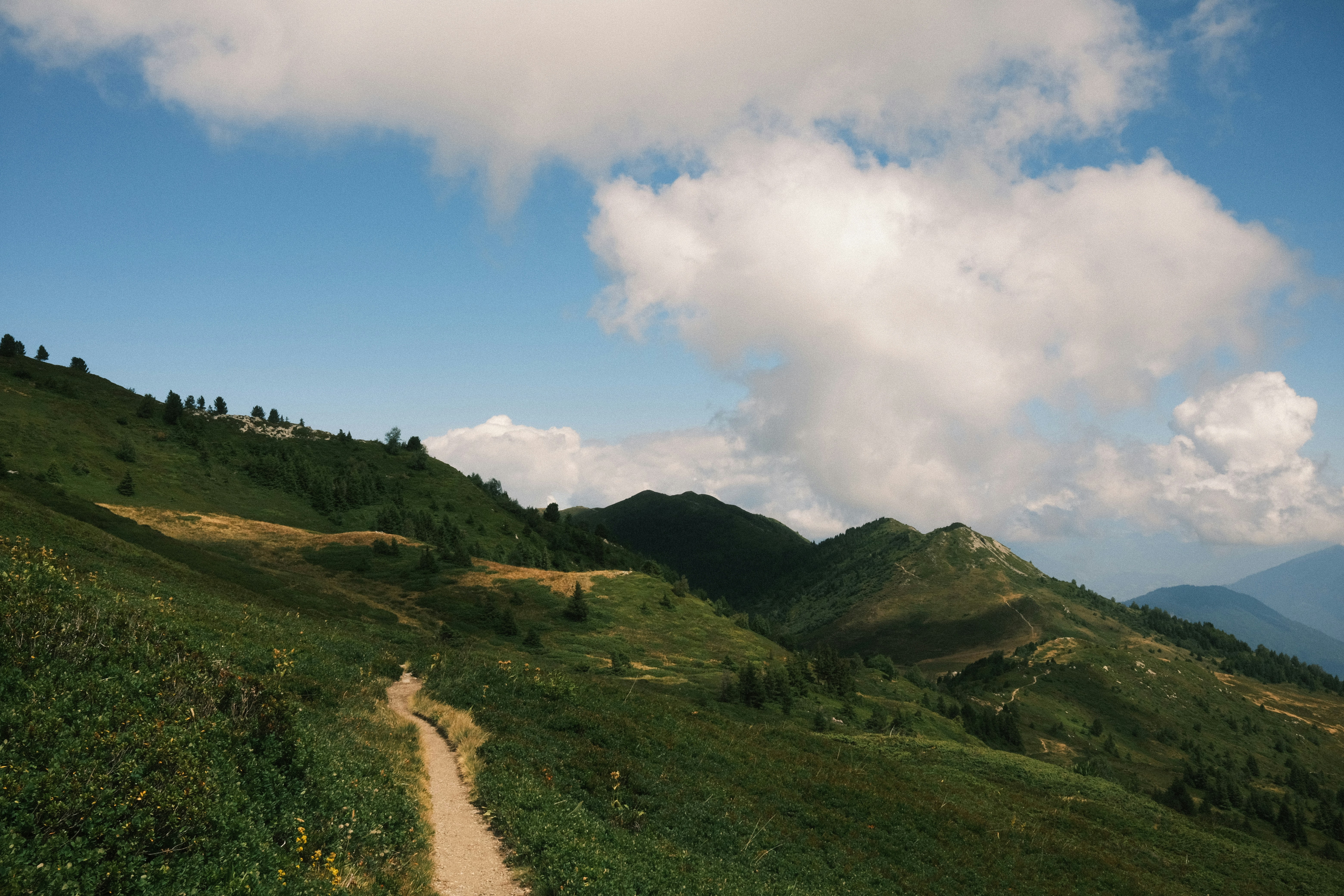 Trail to the Clouds: A-Wide Panorama of Alpine Meadow