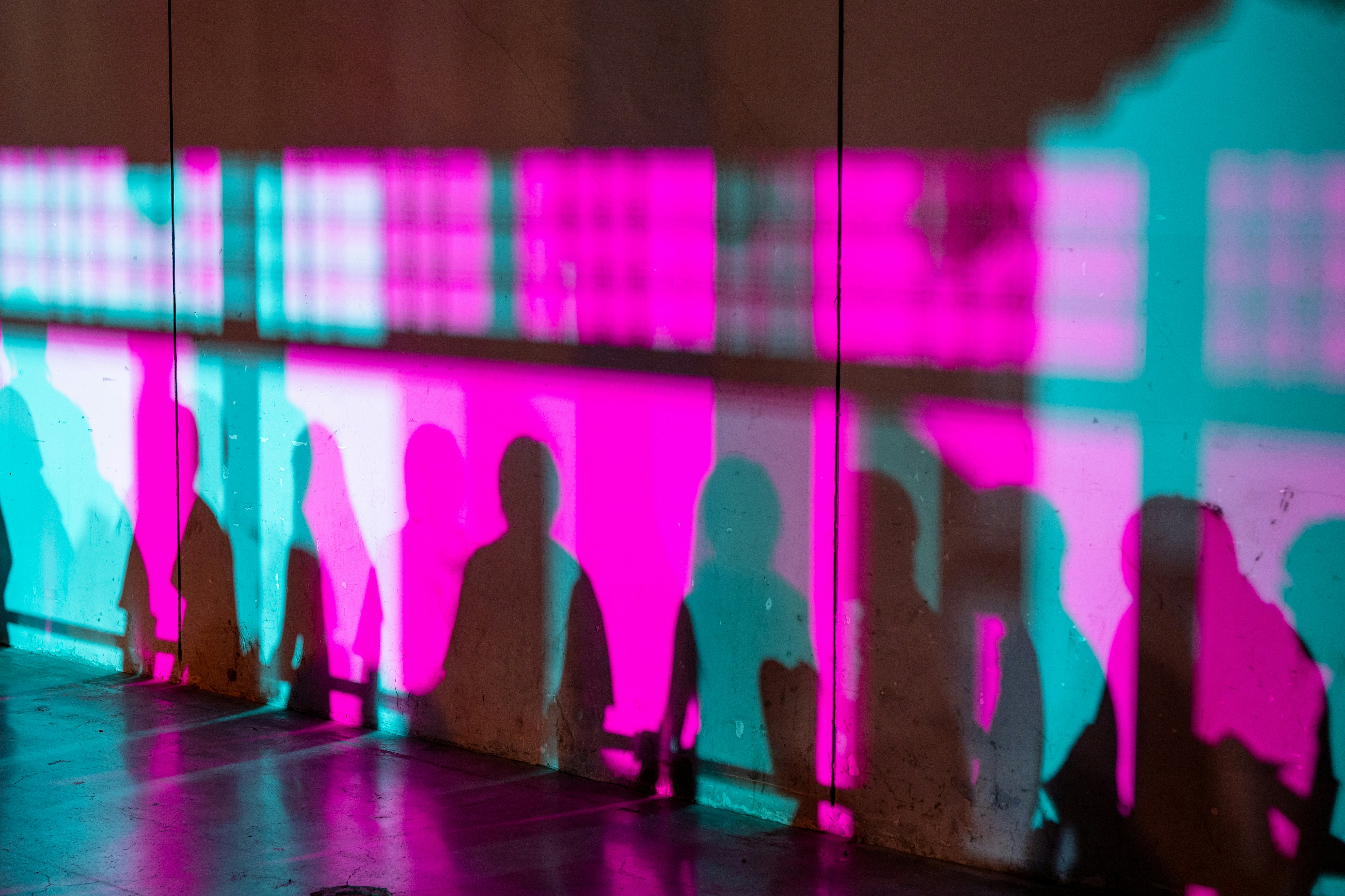Neon silhouettes along a vivid wall—shadows in color bloom