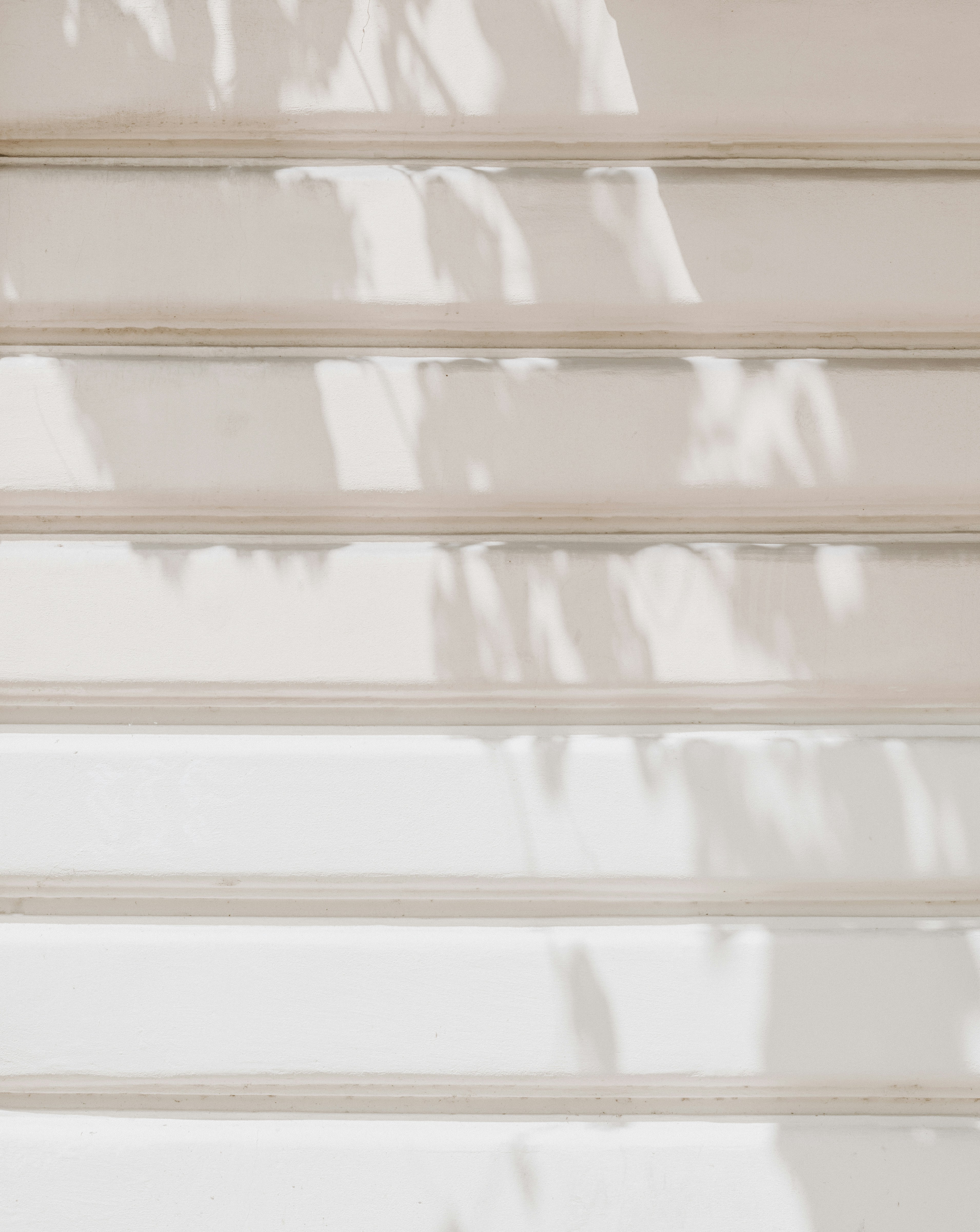 Shadows on White Riser: A Minimal Play of Light and Steps