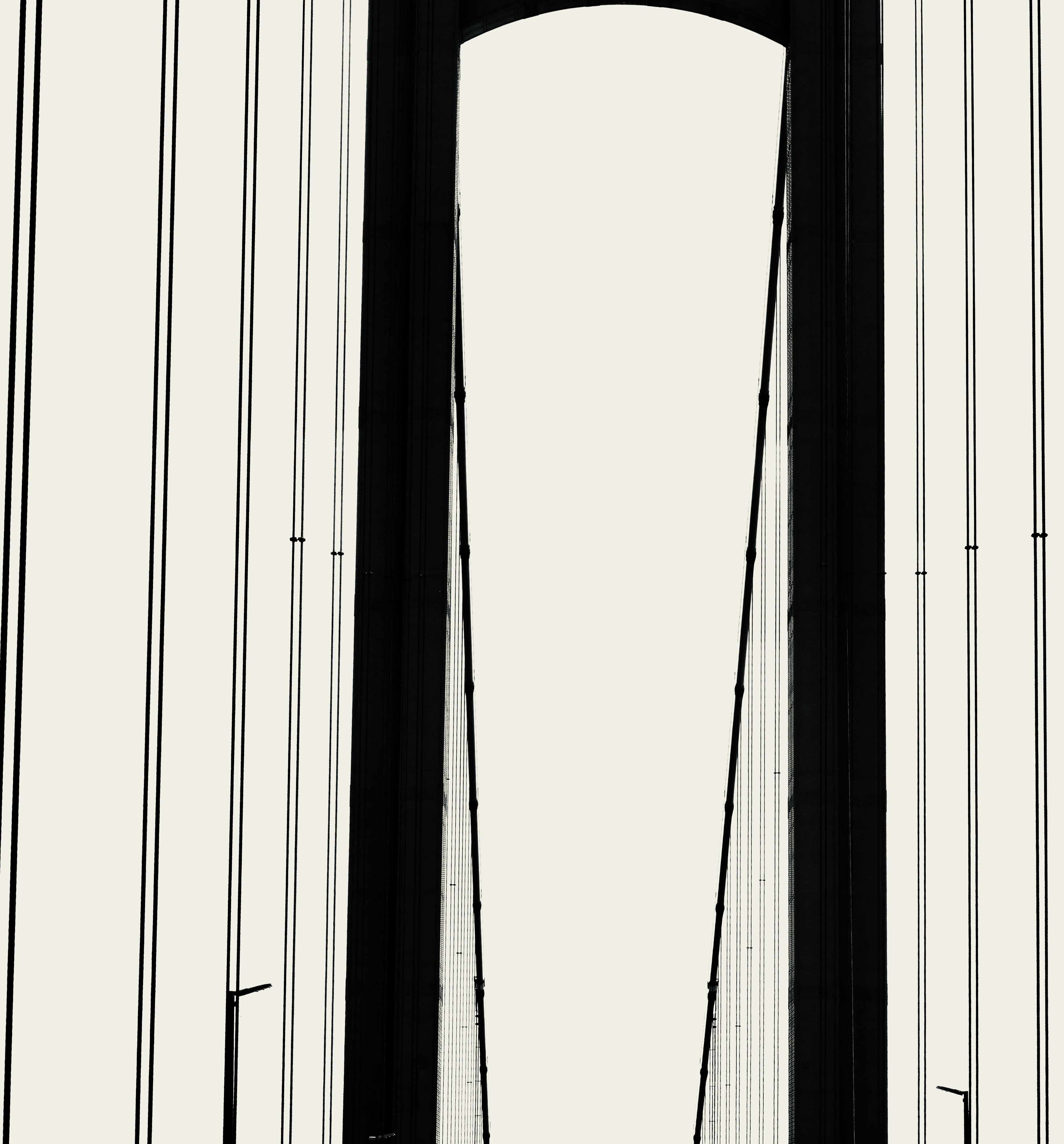 Vertical Silence: Cable-streaked Gateway of a Bridge