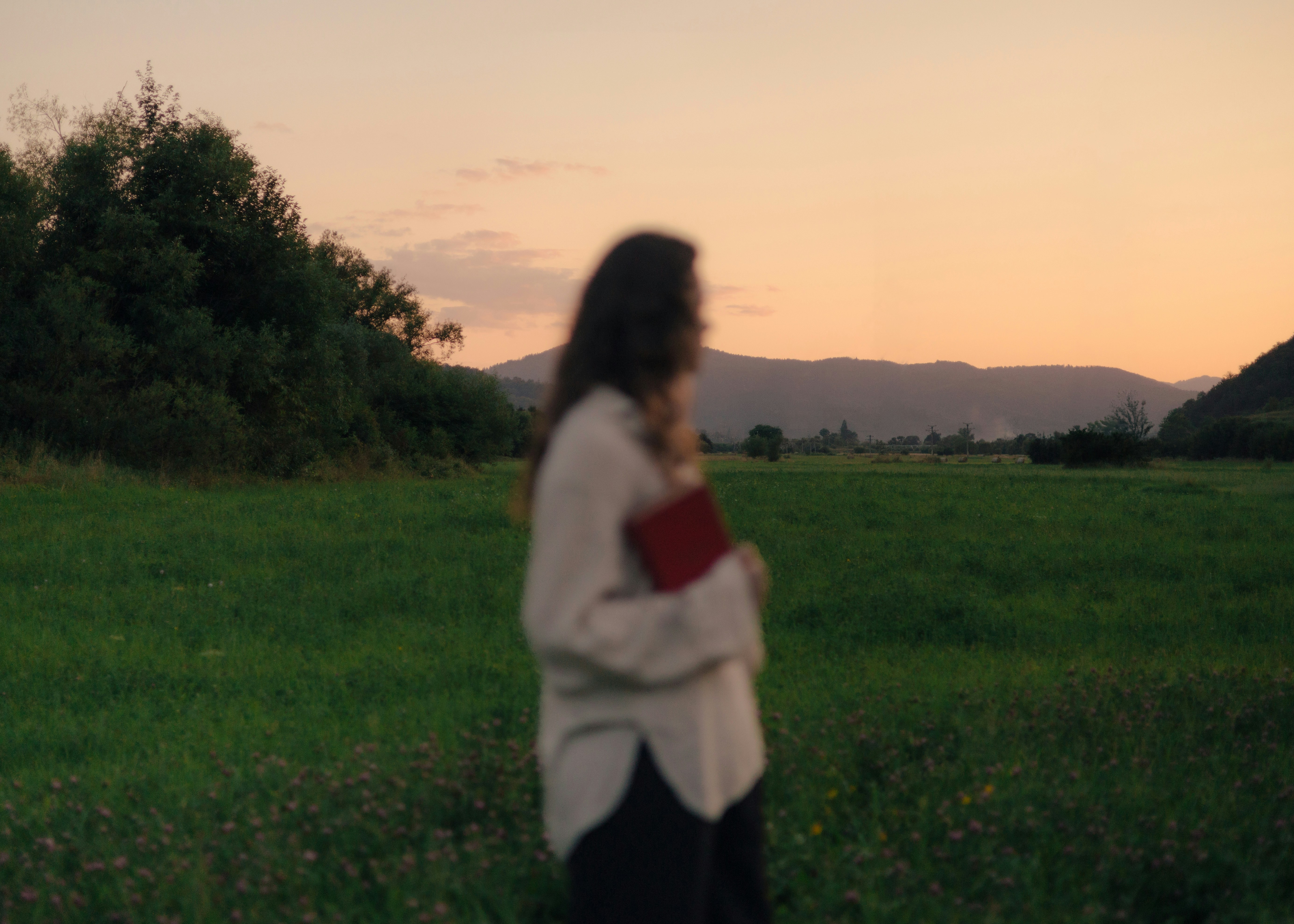 Whispered Dusk: A silhouette with a red book in a meadow