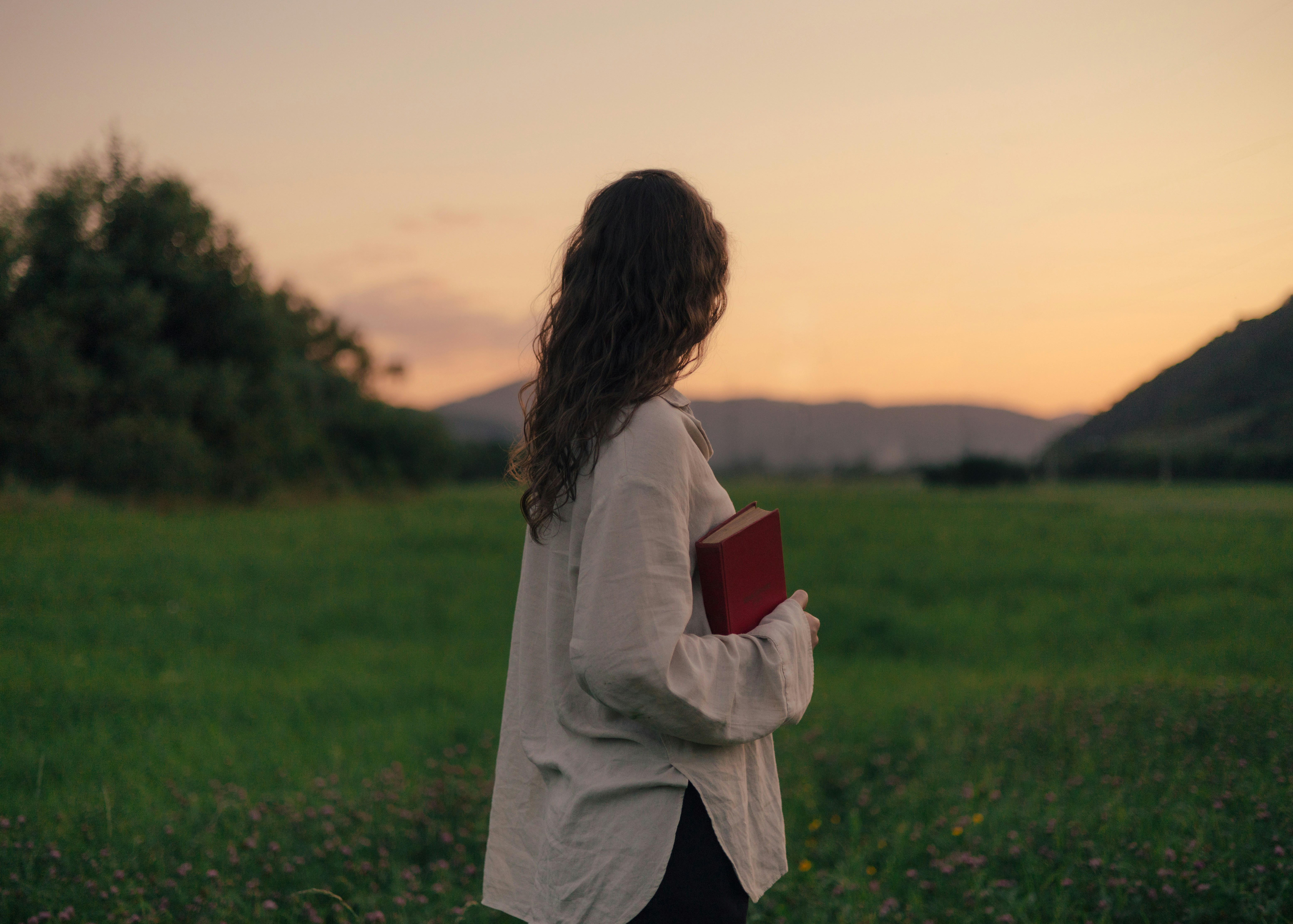 Evening in the Field: A Quiet Walk with a Red Notion of Memory