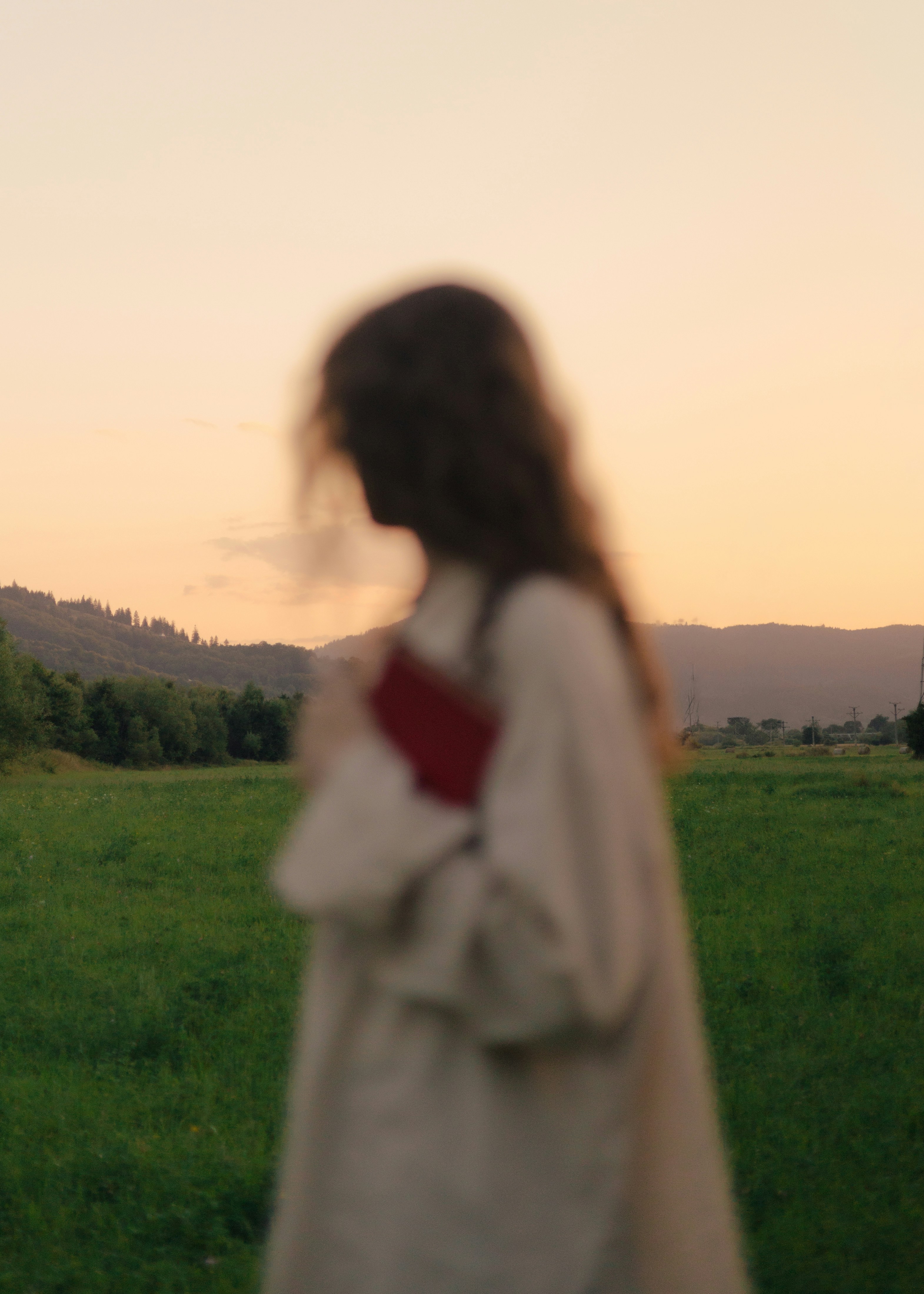 Blurred silhouette at golden hour in a grassy field