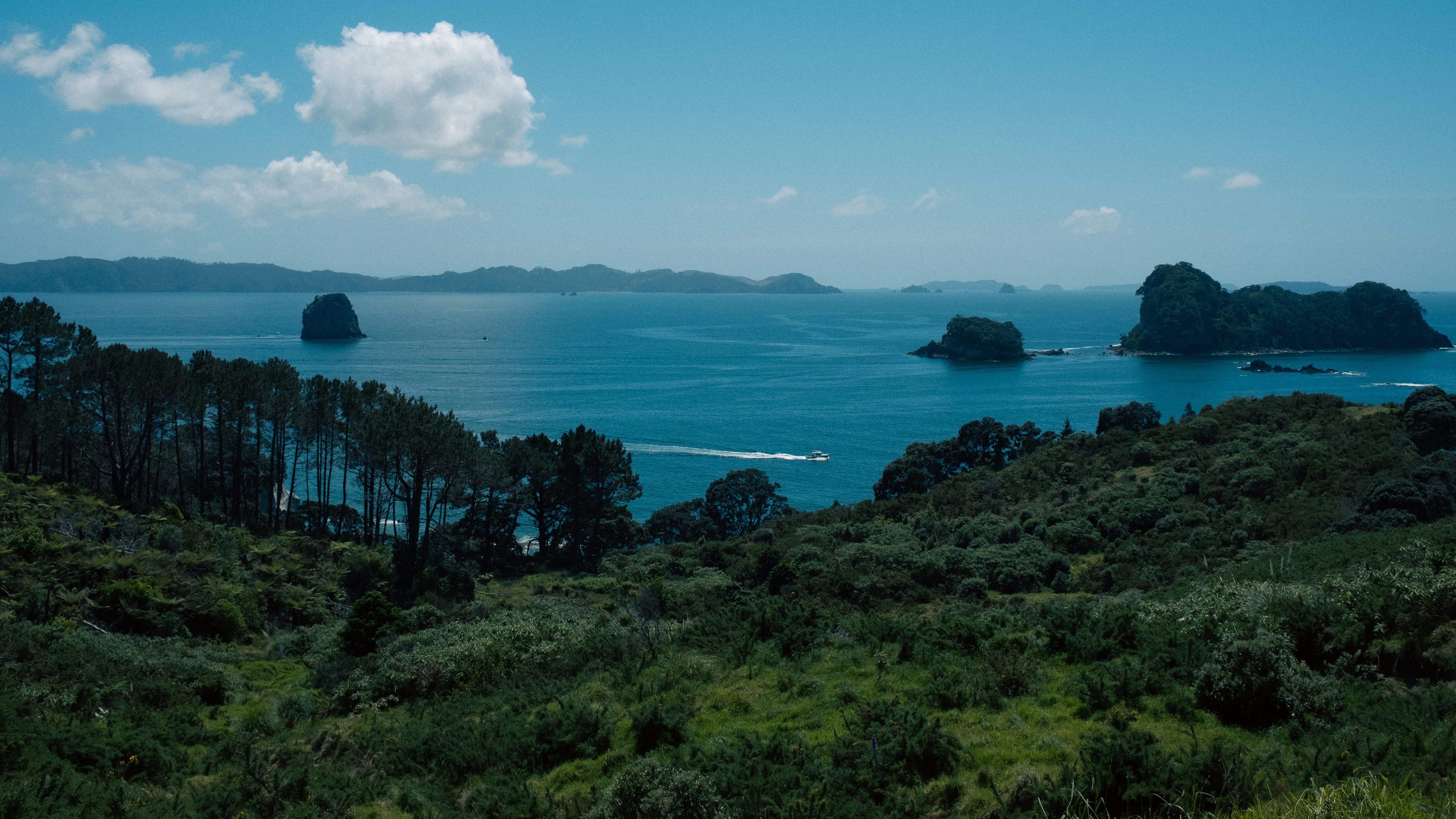 Coastal Horizon: A Quiet Seascape from the Green Ridge