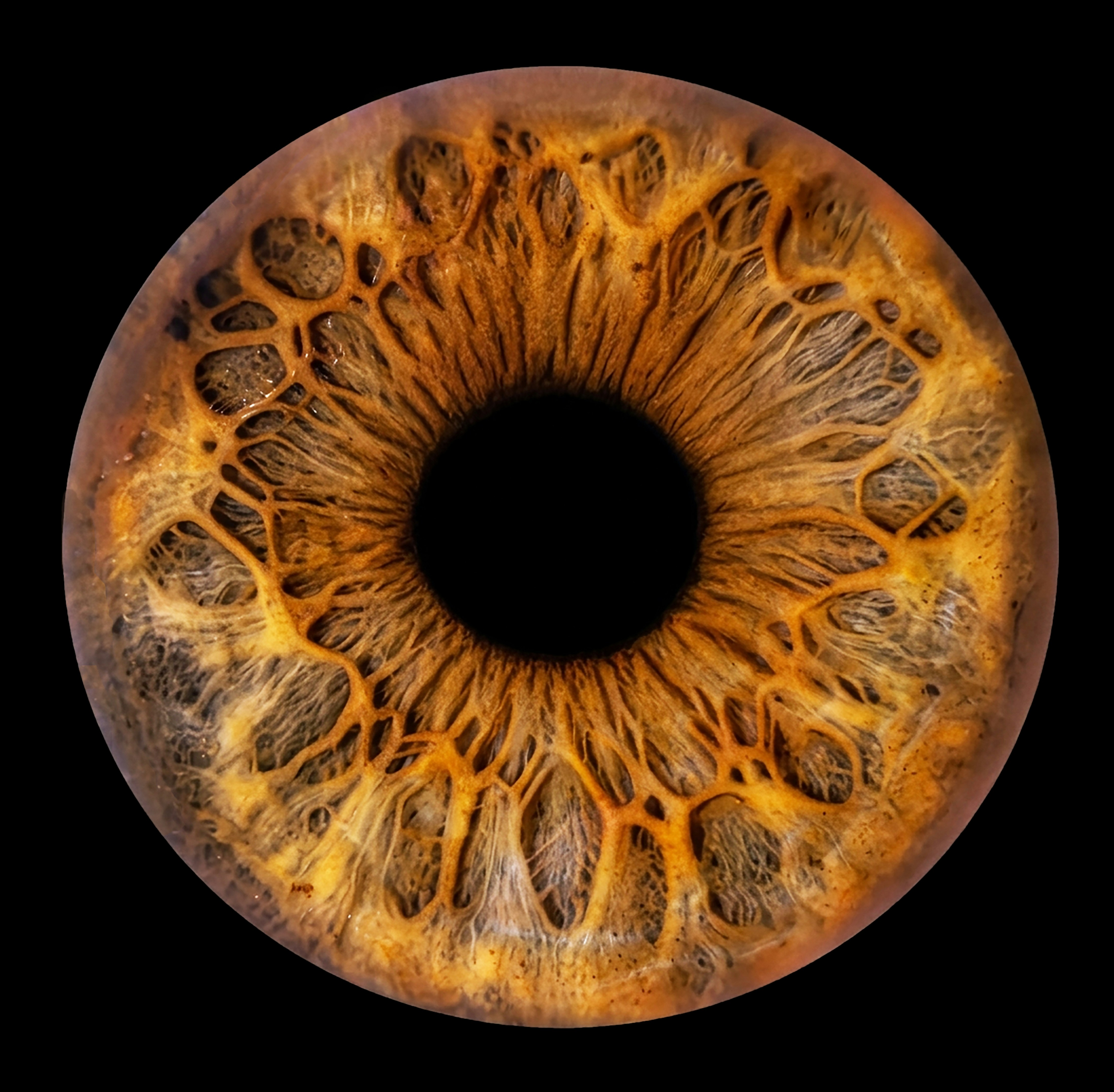 Macro close-up of a richly textured human iris against a black background, revealing intricate radial patterns and vivid amber tones. The image emphasizes eye anatomy and color.