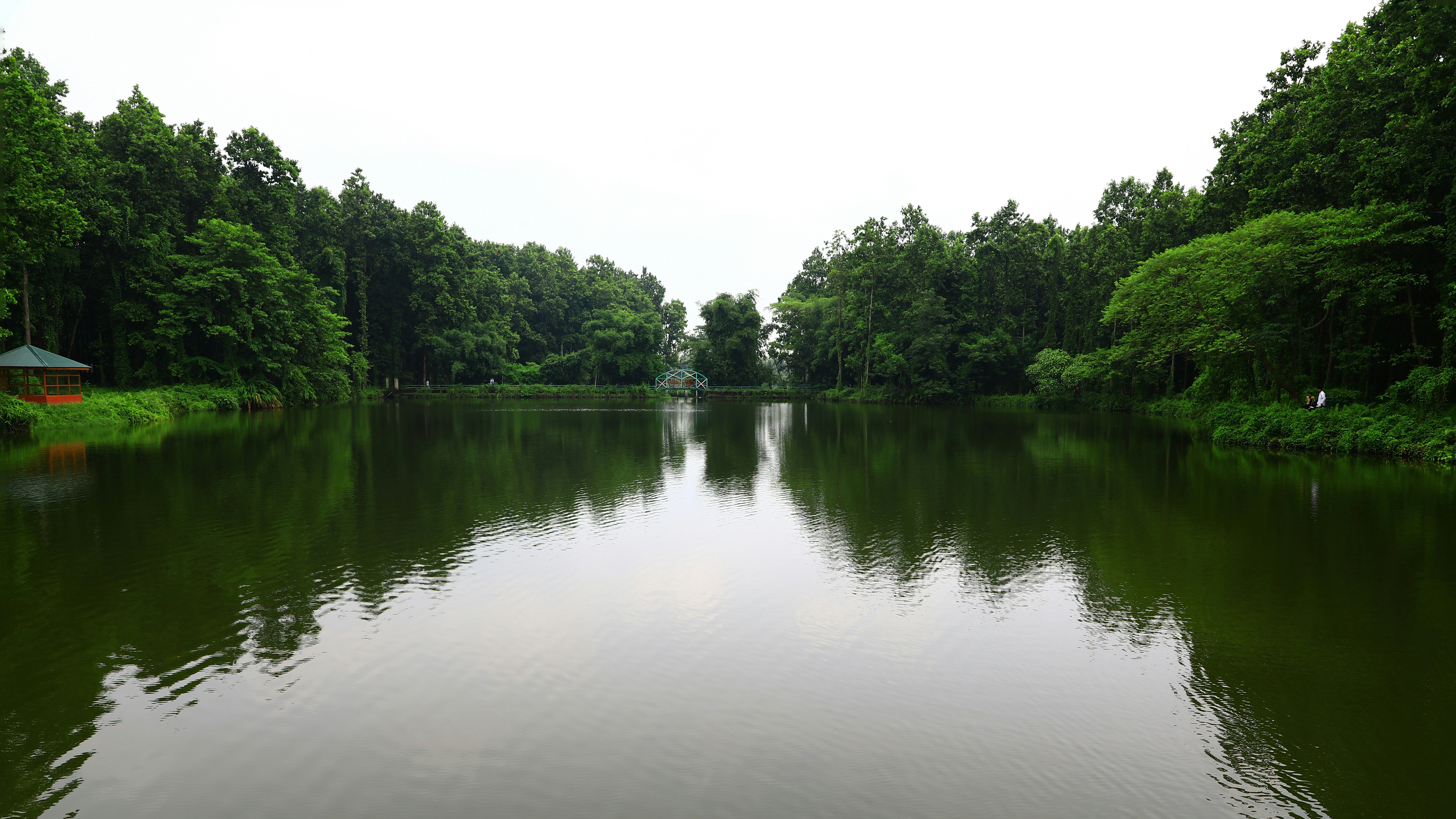 Symmetrical Lake Reflection Through a Green Corridor