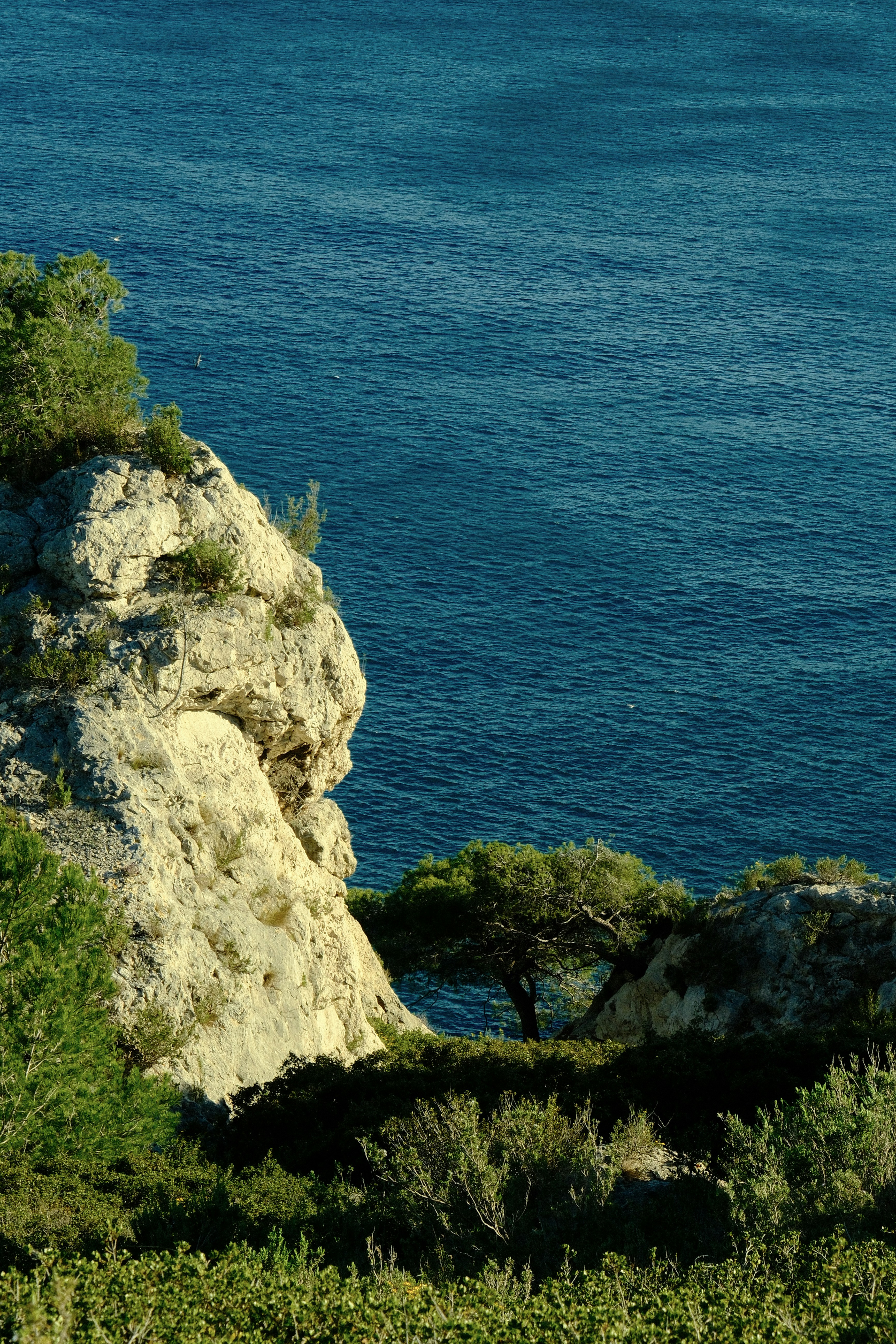 Cliffline and Azure Sea: Sunlit Limestone Flats Meet the Deep Blue