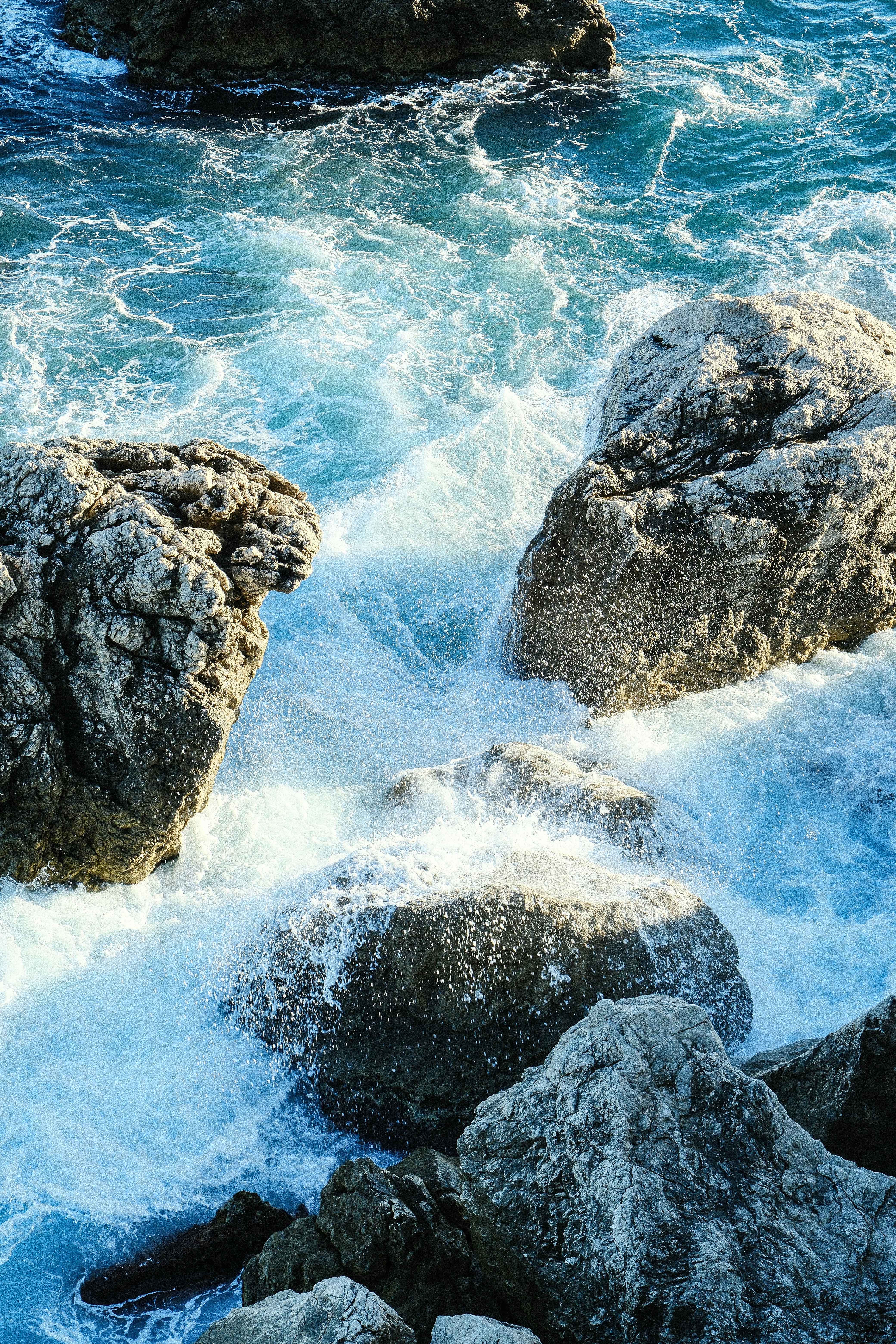 Sturdy Sentinel: Waves Compete with Coastal Giants