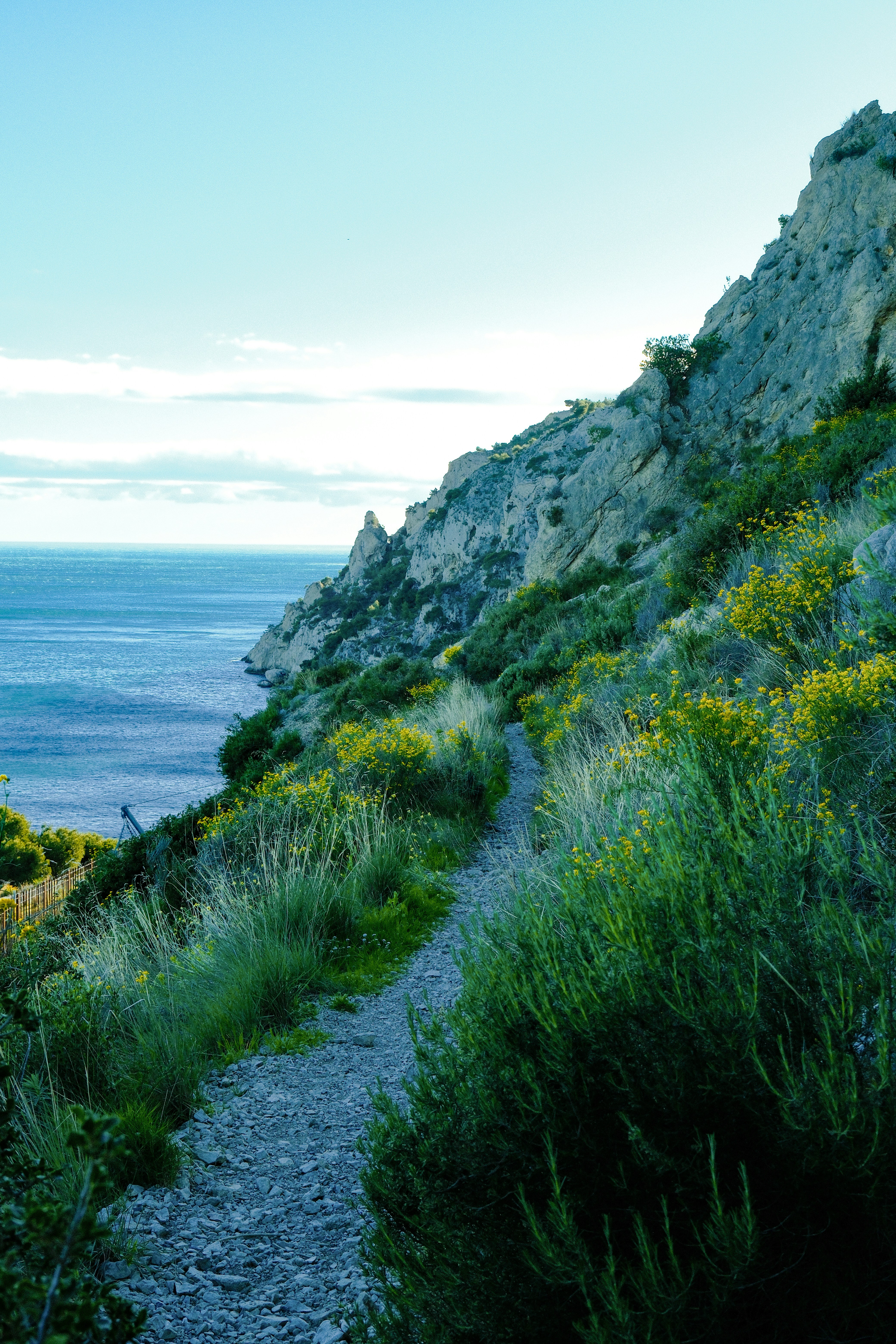 Coastal Path Winds Along a Sunlit Cliffsides