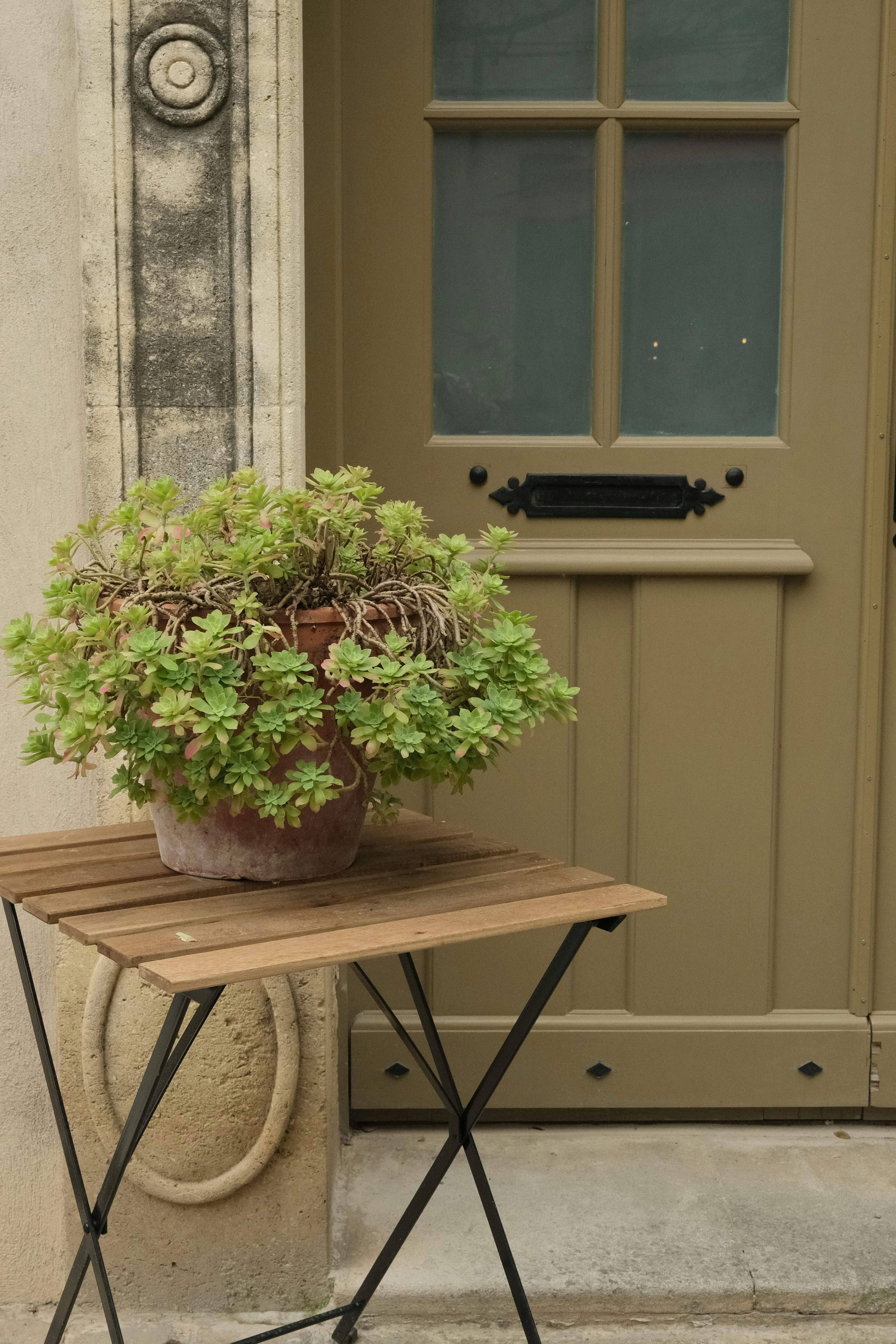 Antique Doorway Framed by Verdant Pot on Bistro Table