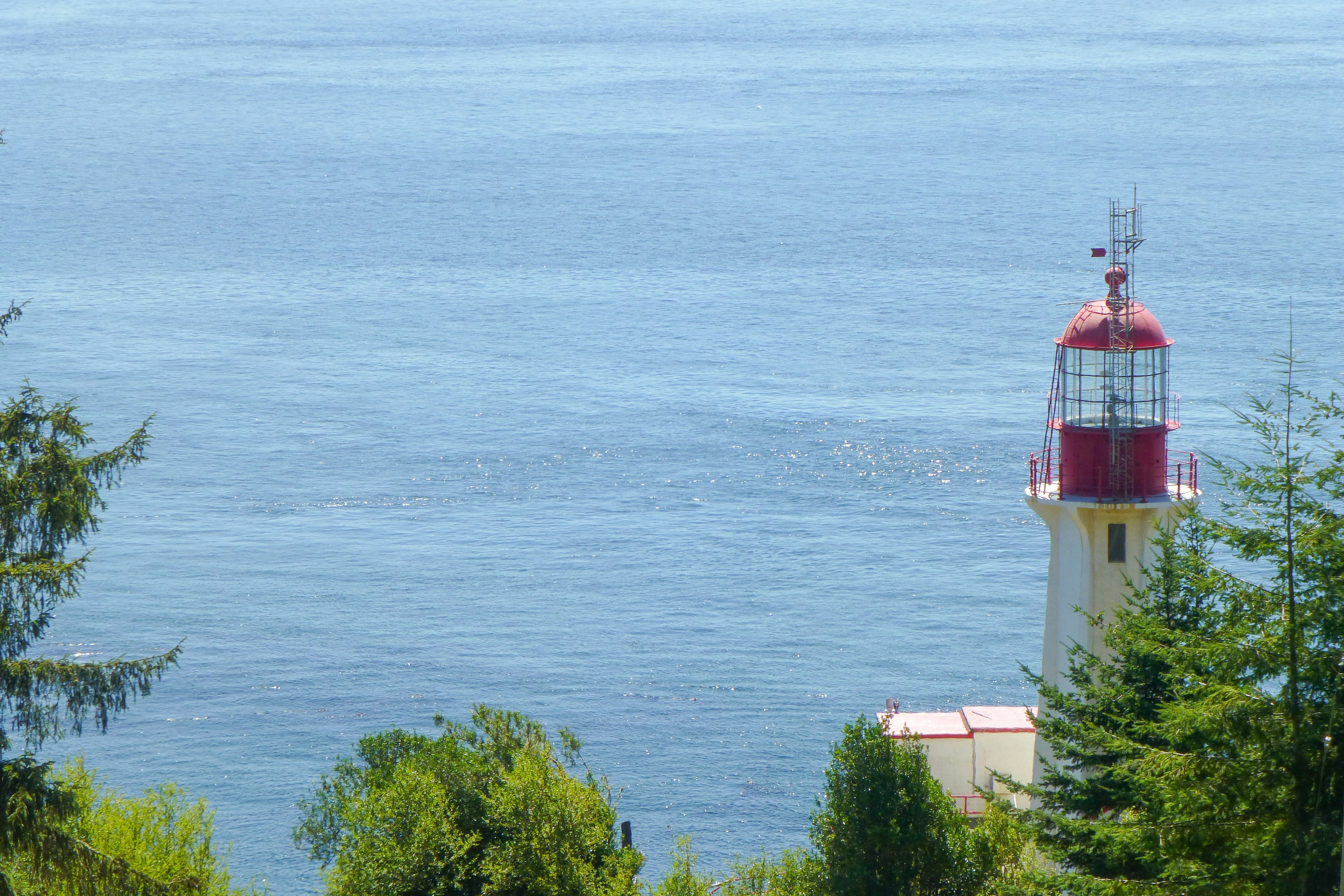 Lighthouse on the Cliff: Sentinel Over Blue Silence