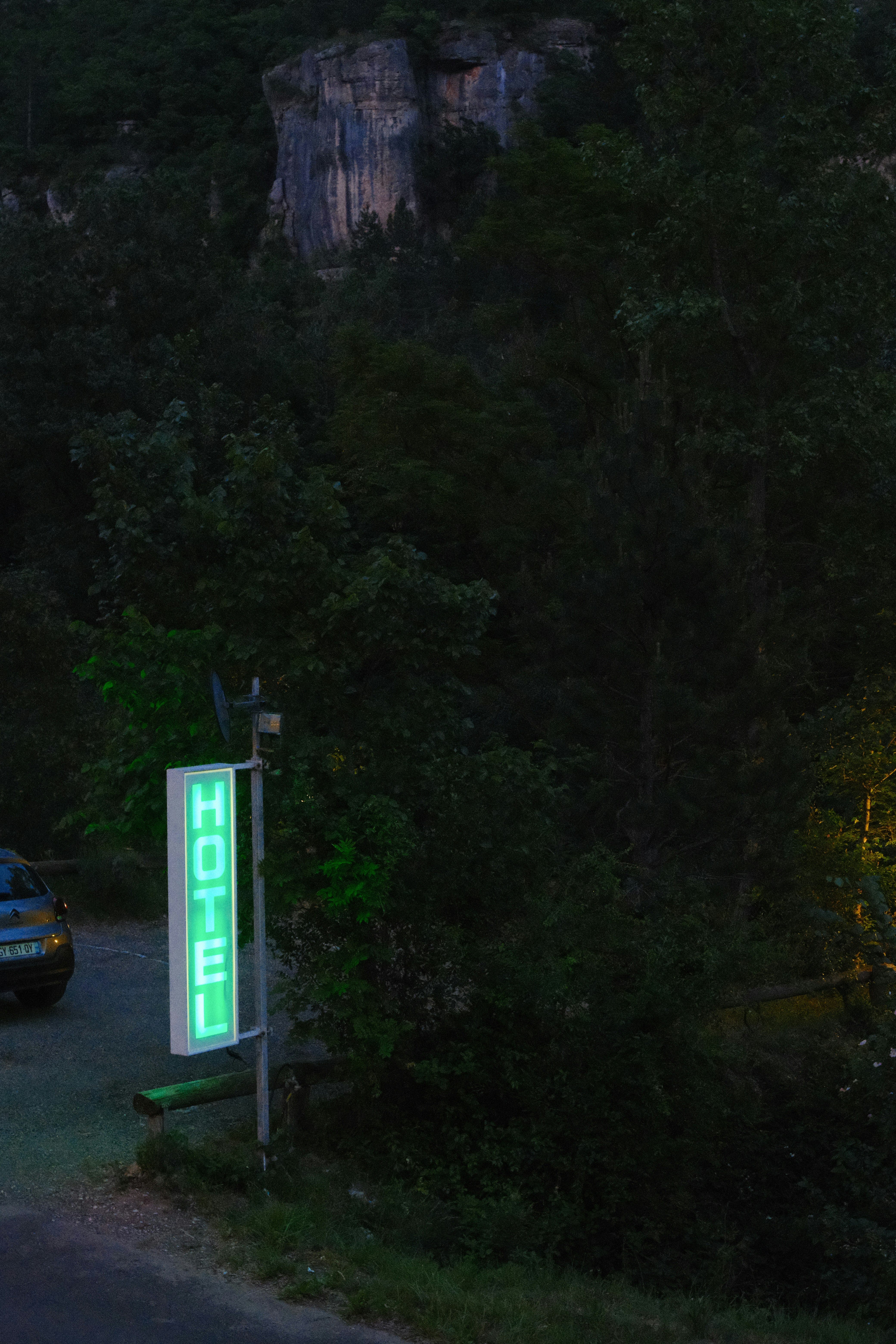 Neon Sign in the Night Forest