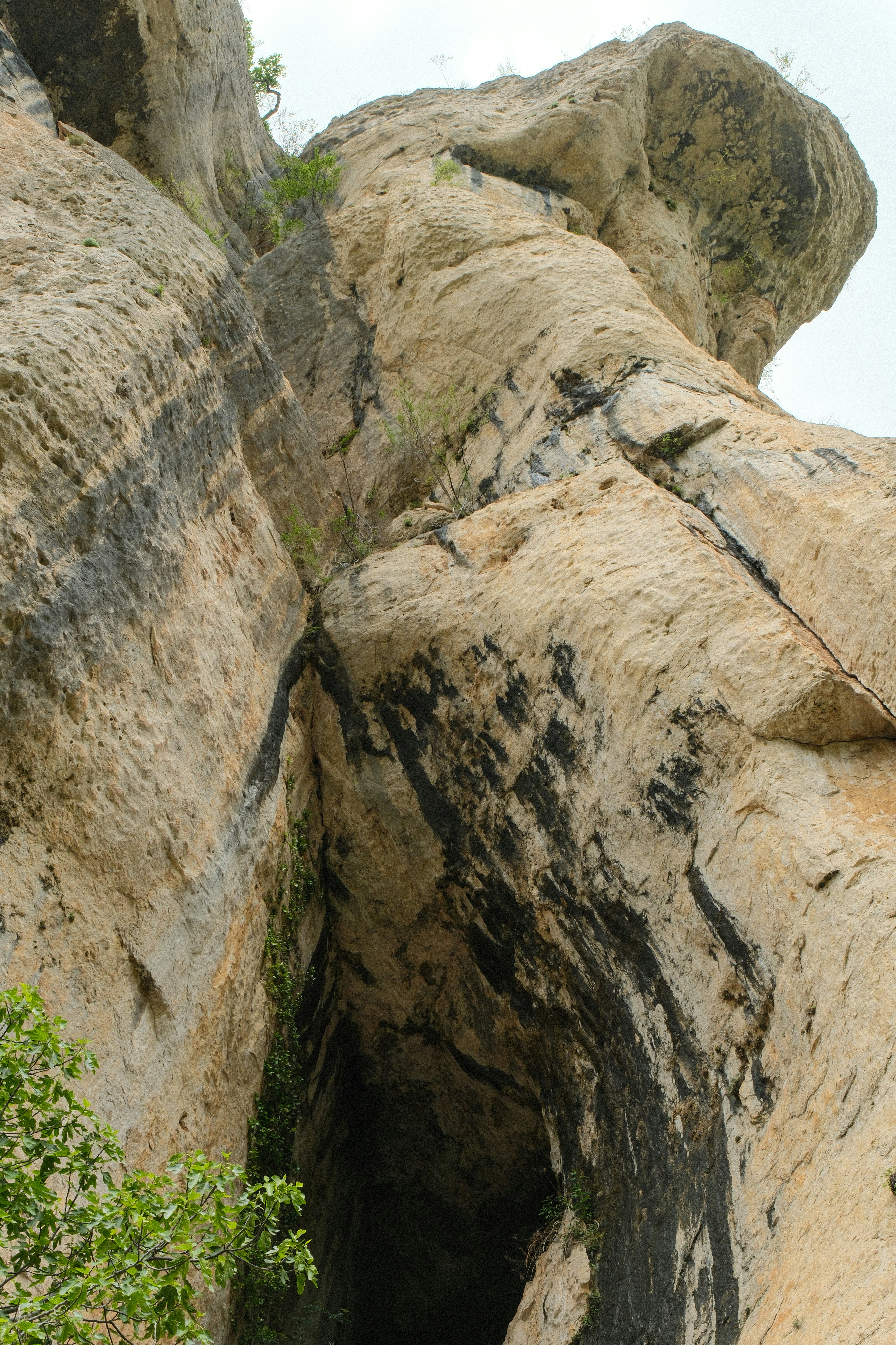 Cracked Spine of a Sierra Monolith