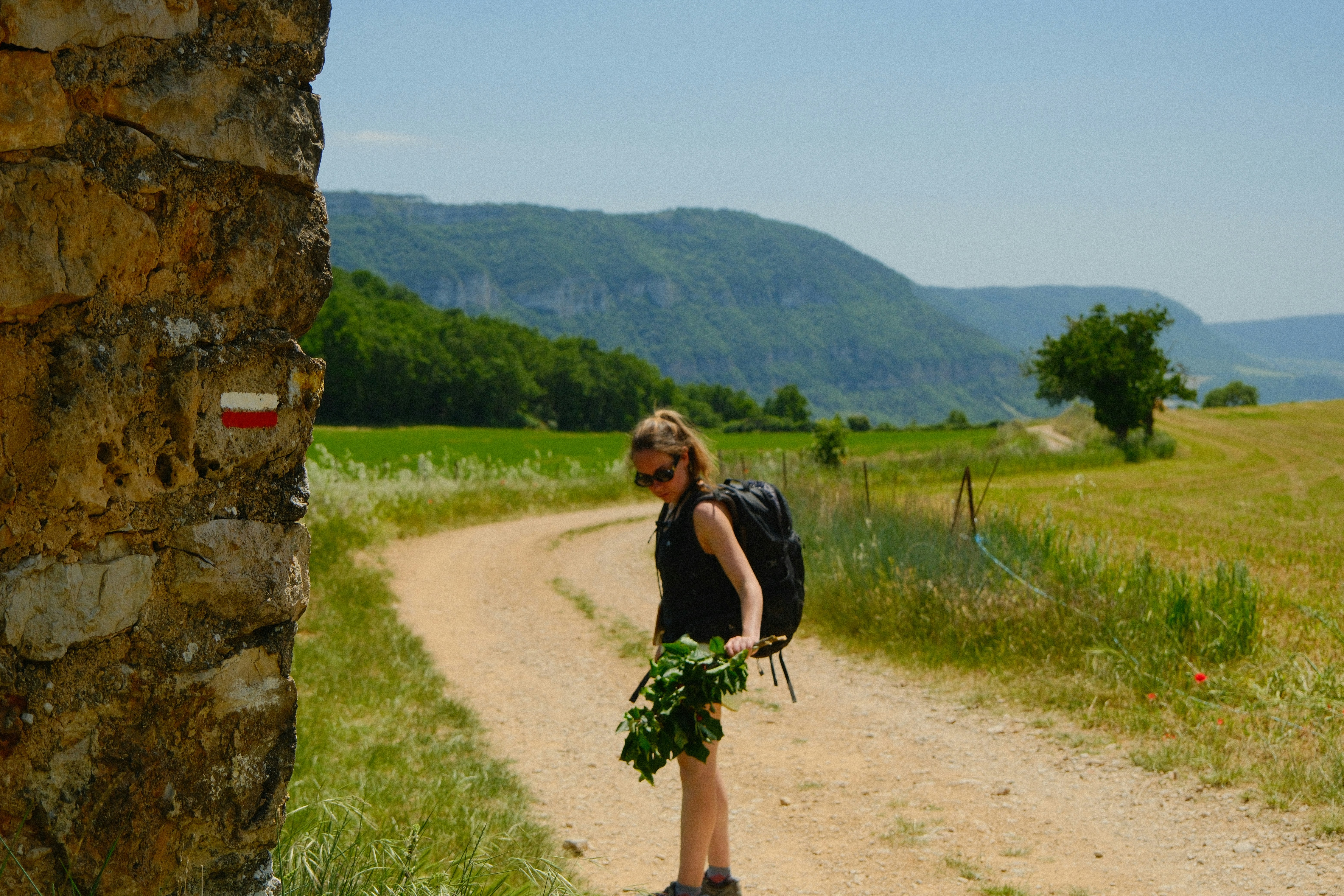 Hiker by the Gate: a sunlit path through rolling countryside