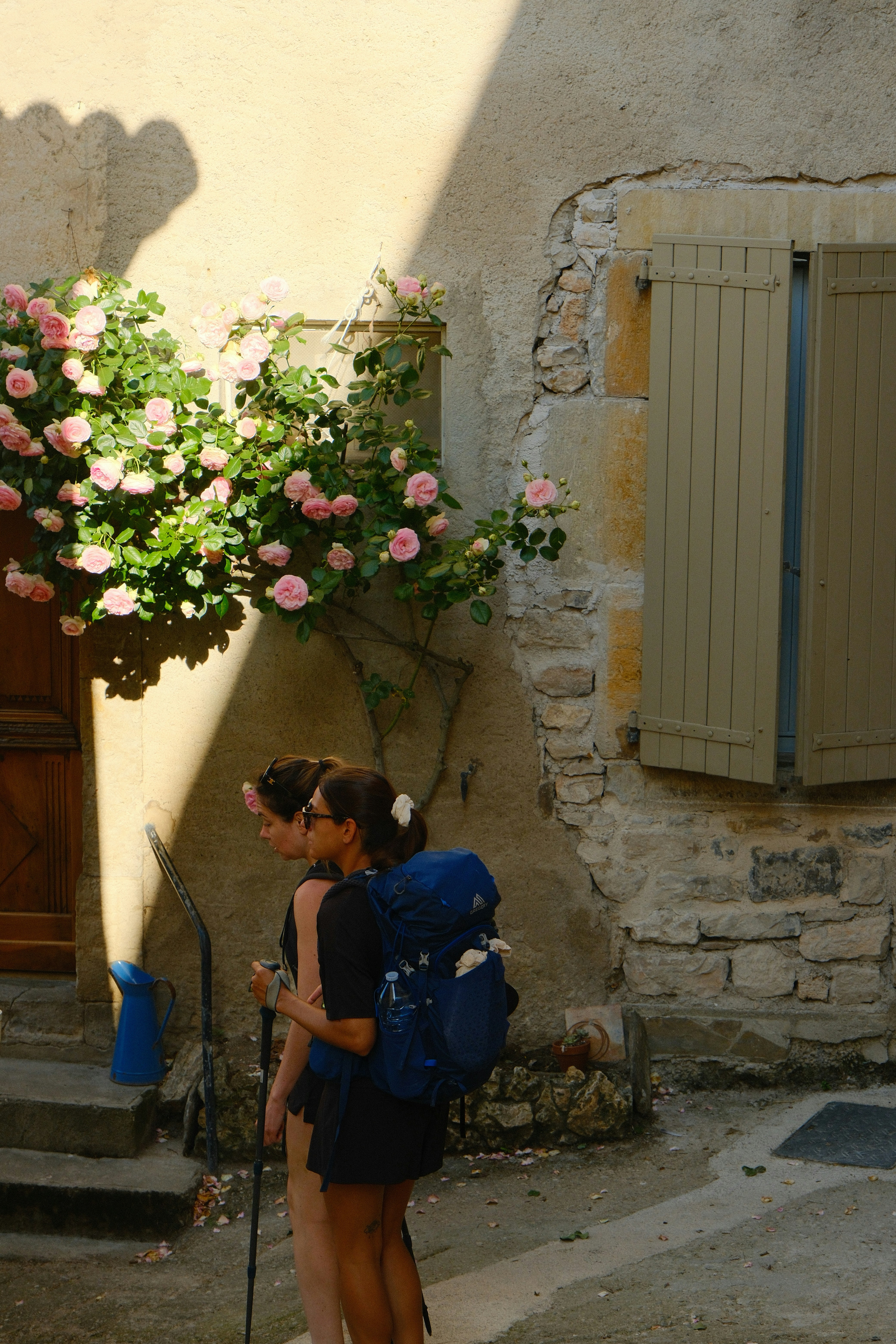 Traveling Companions by the Rose Trellis