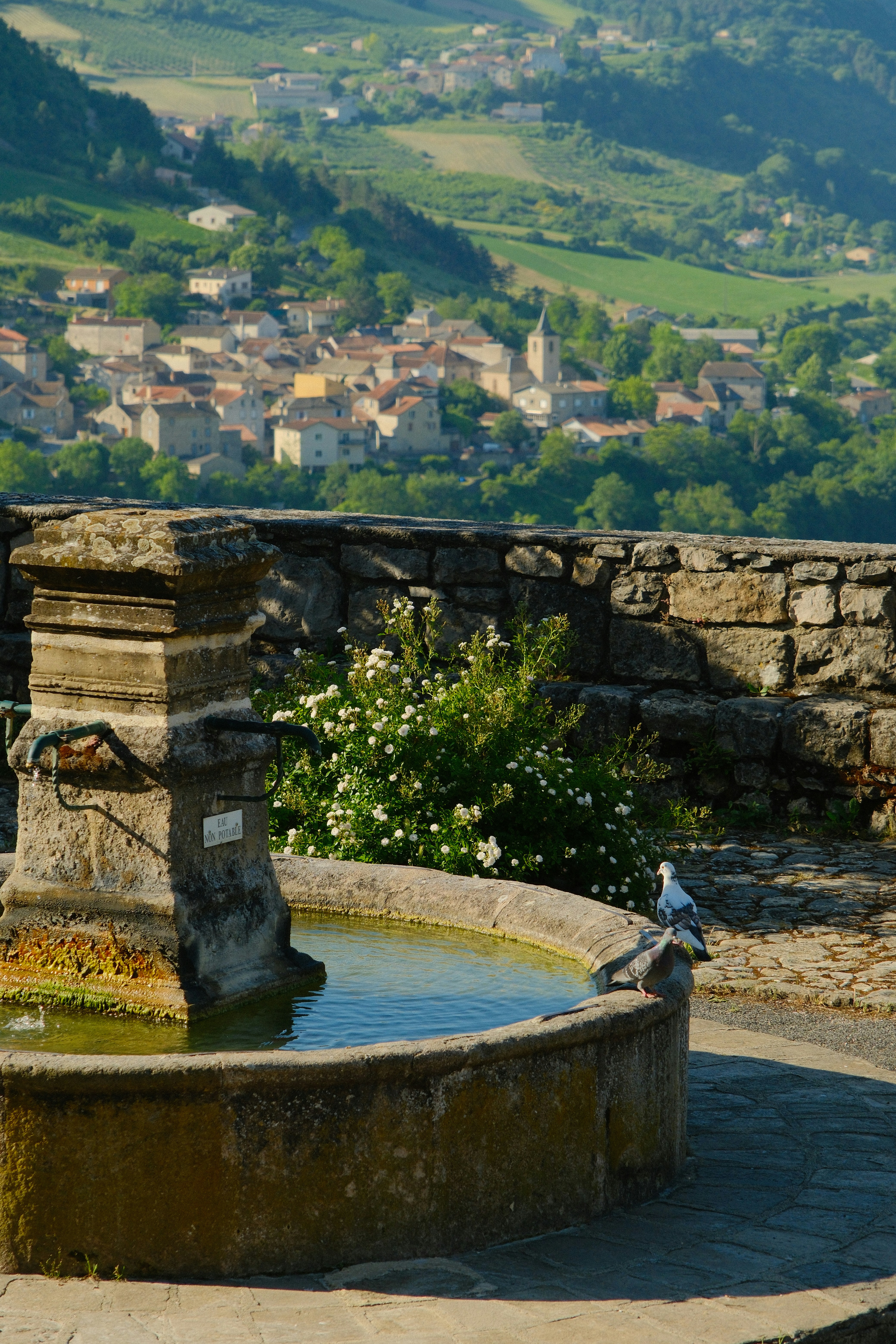Stone Reflector over a Tranquil Village Courtyard
